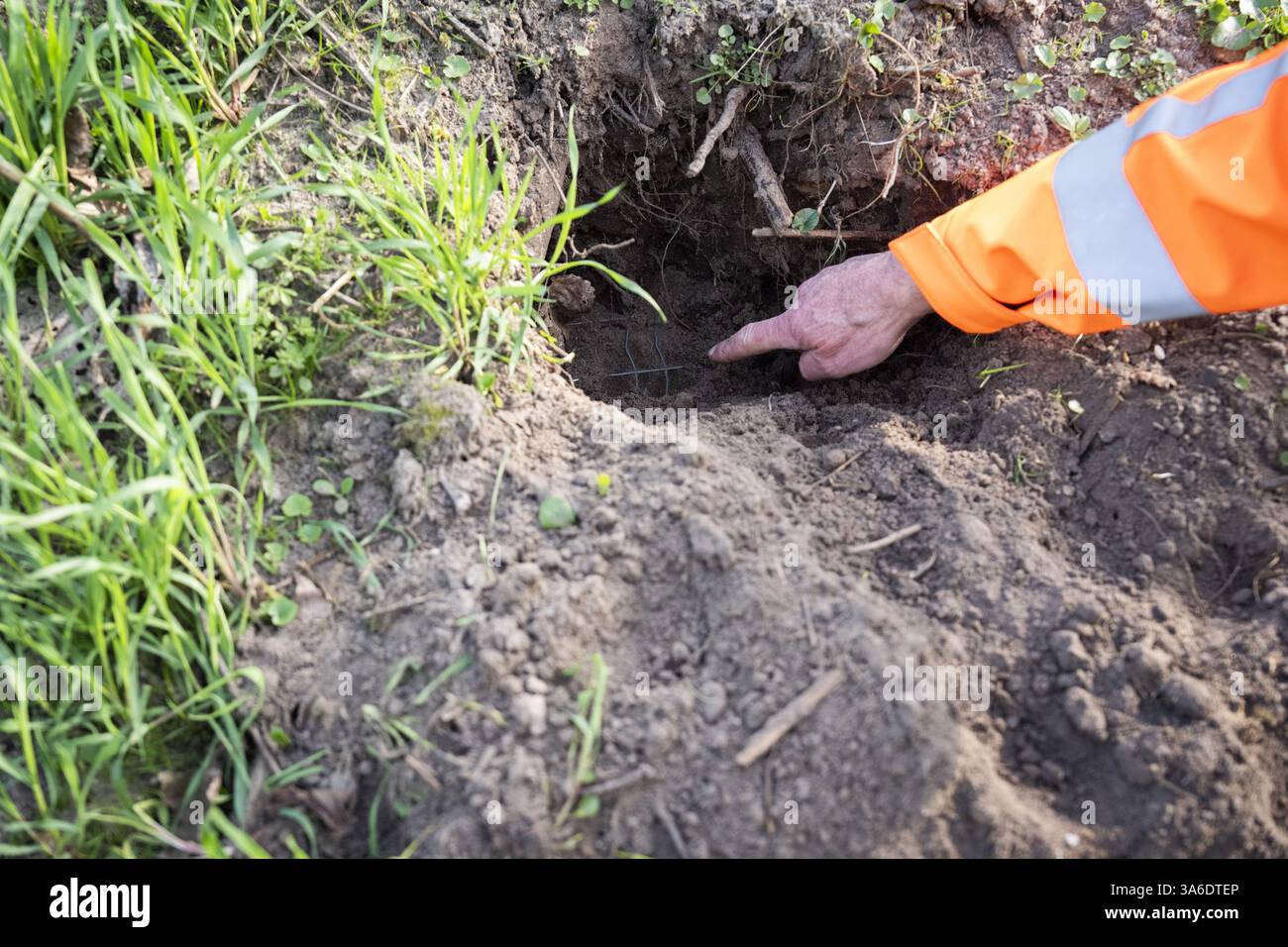 RAVENSTEIN - A Prorail employee searches for damage caused by badgers ...