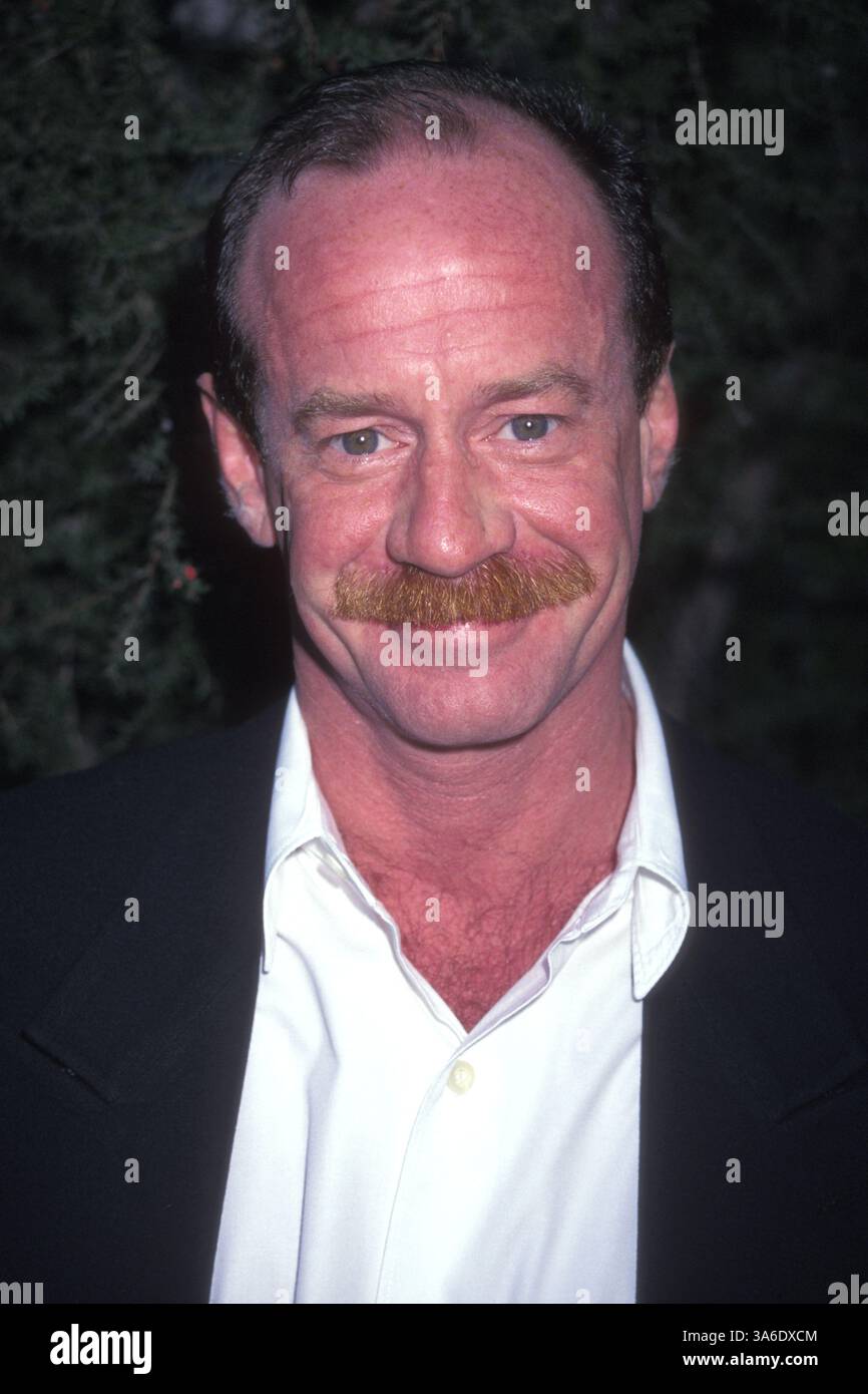 Actor MICHAEL JETER @ the Pre-Emmys 1996 Stock Photo - Alamy