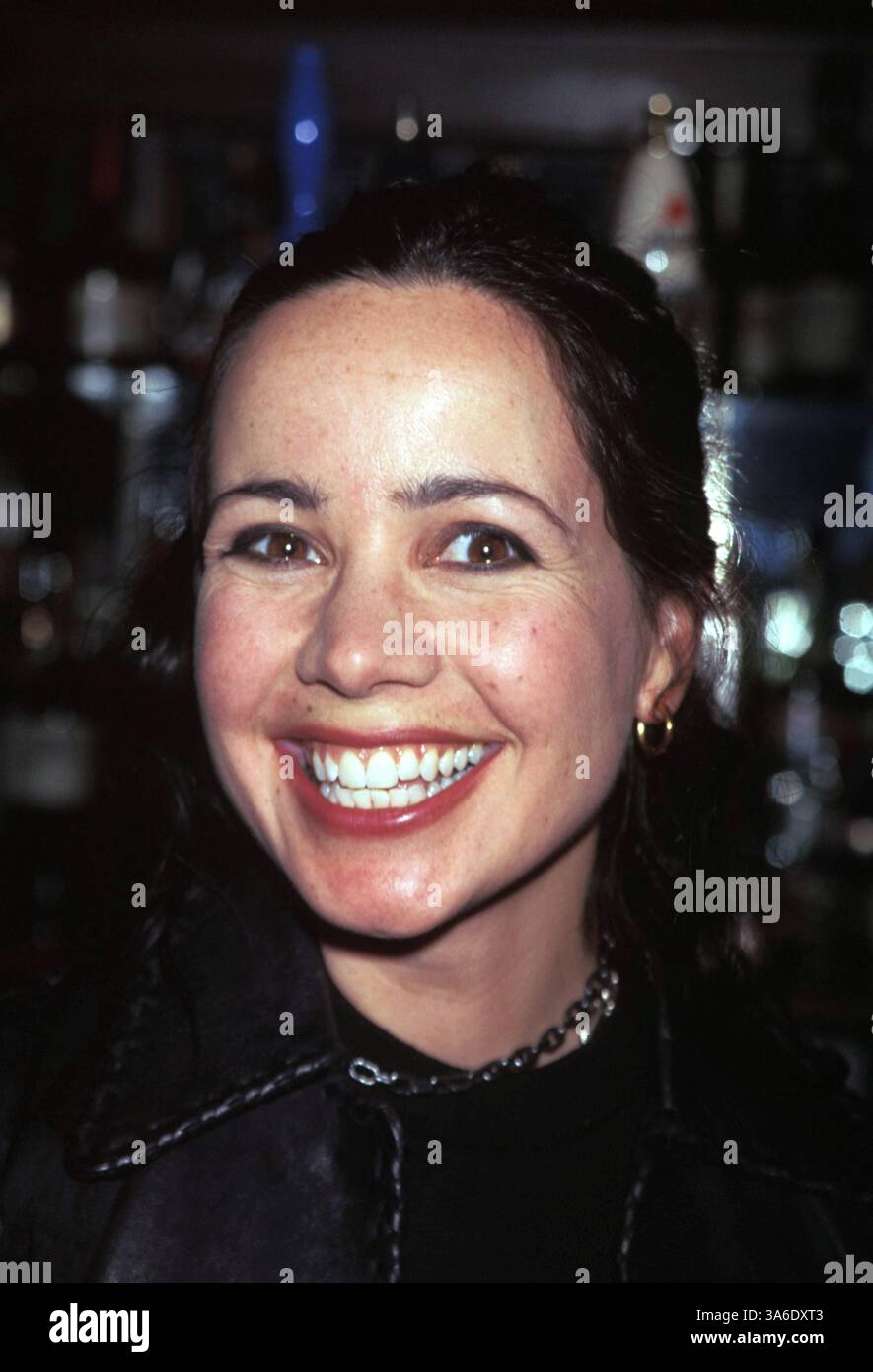 Actress and comedian JANEANE GAROFALO Stock Photo - Alamy