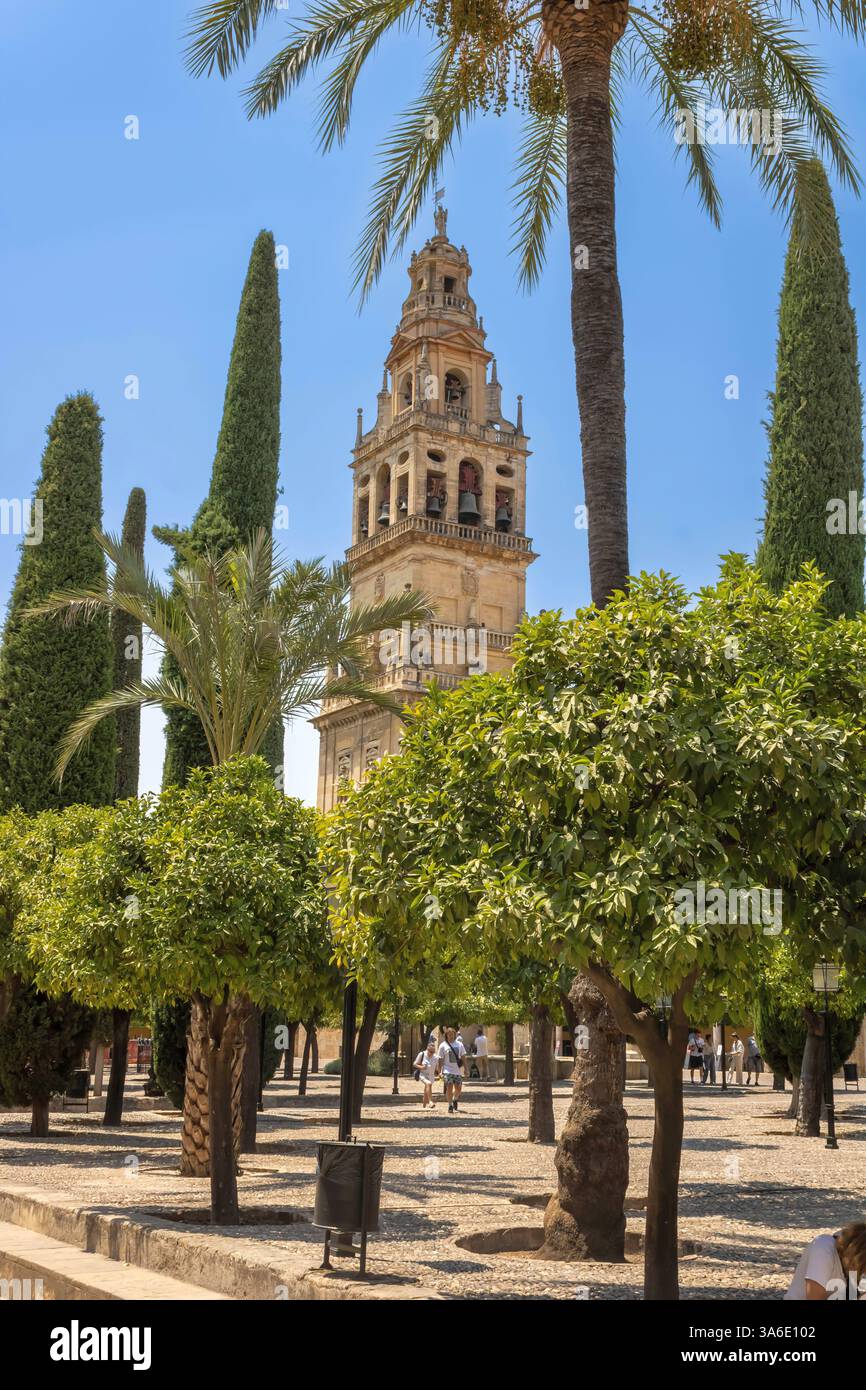A bell tower and the Perdon Gate (Spanish: Puerta del Perdón) of the ...