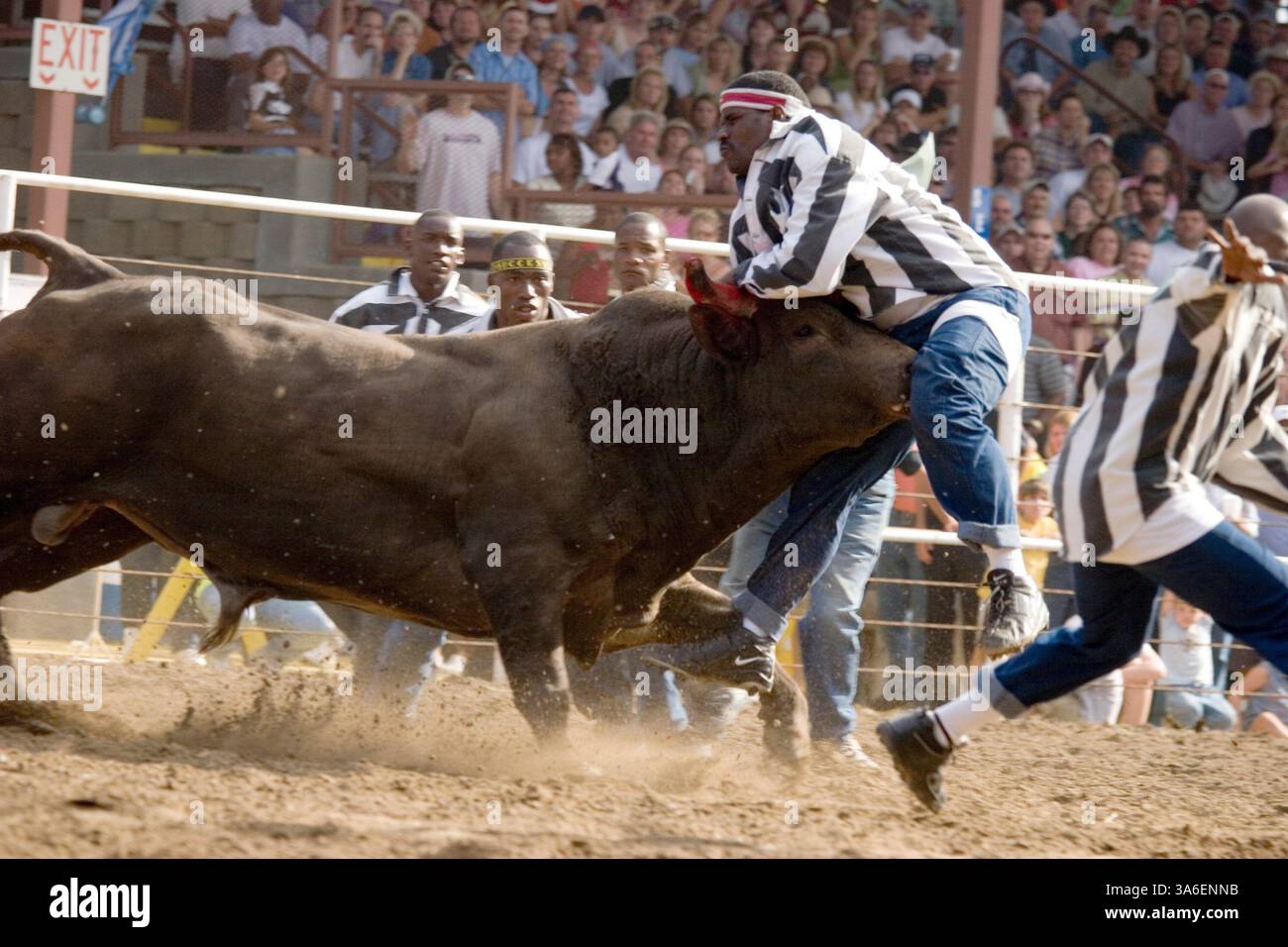 Oct 17, 2004; Angola, LA, USA; Convicts pursue a bull with a poker chip ...