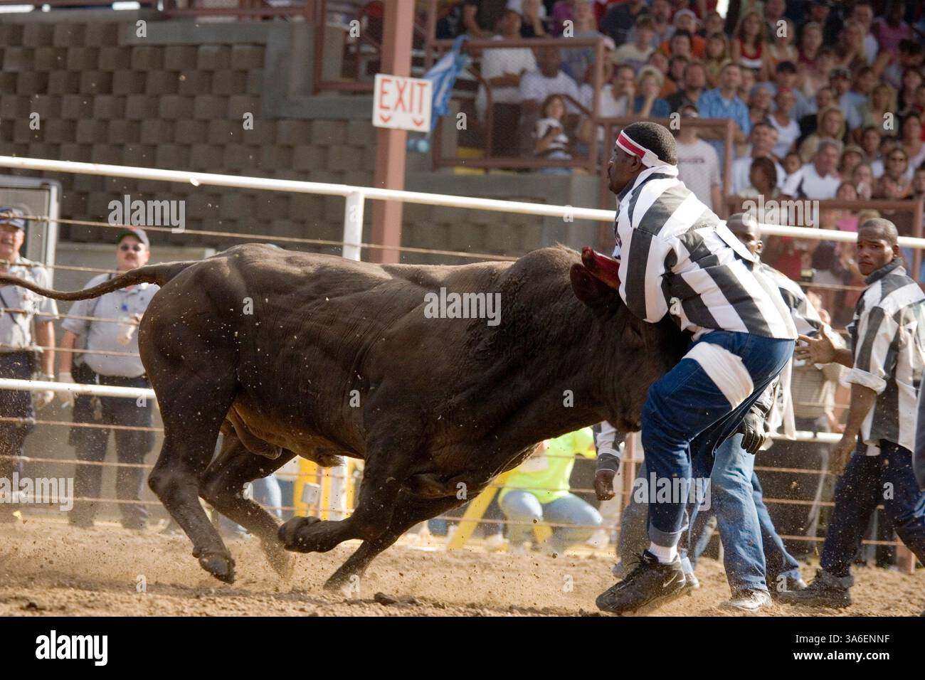 Oct 17, 2004; Angola, LA, USA; Convicts pursue a bull with a poker chip ...