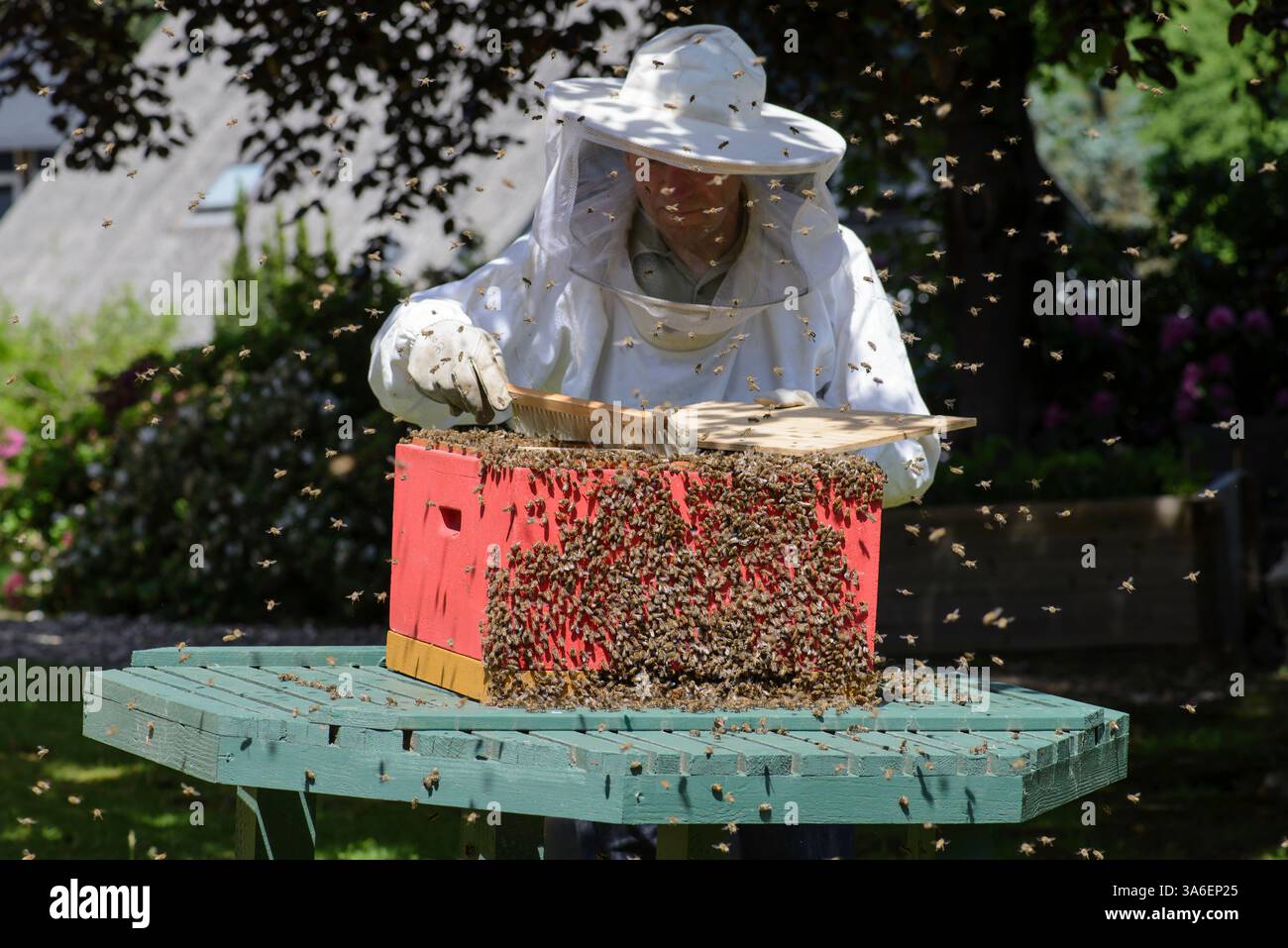 Fauna captures hi-res stock photography and images - Alamy