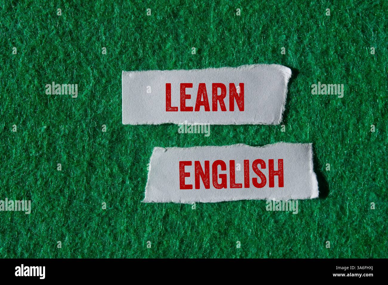 Learn english message written on ripped torn paper pieces on green background. Conceptual learn ...
