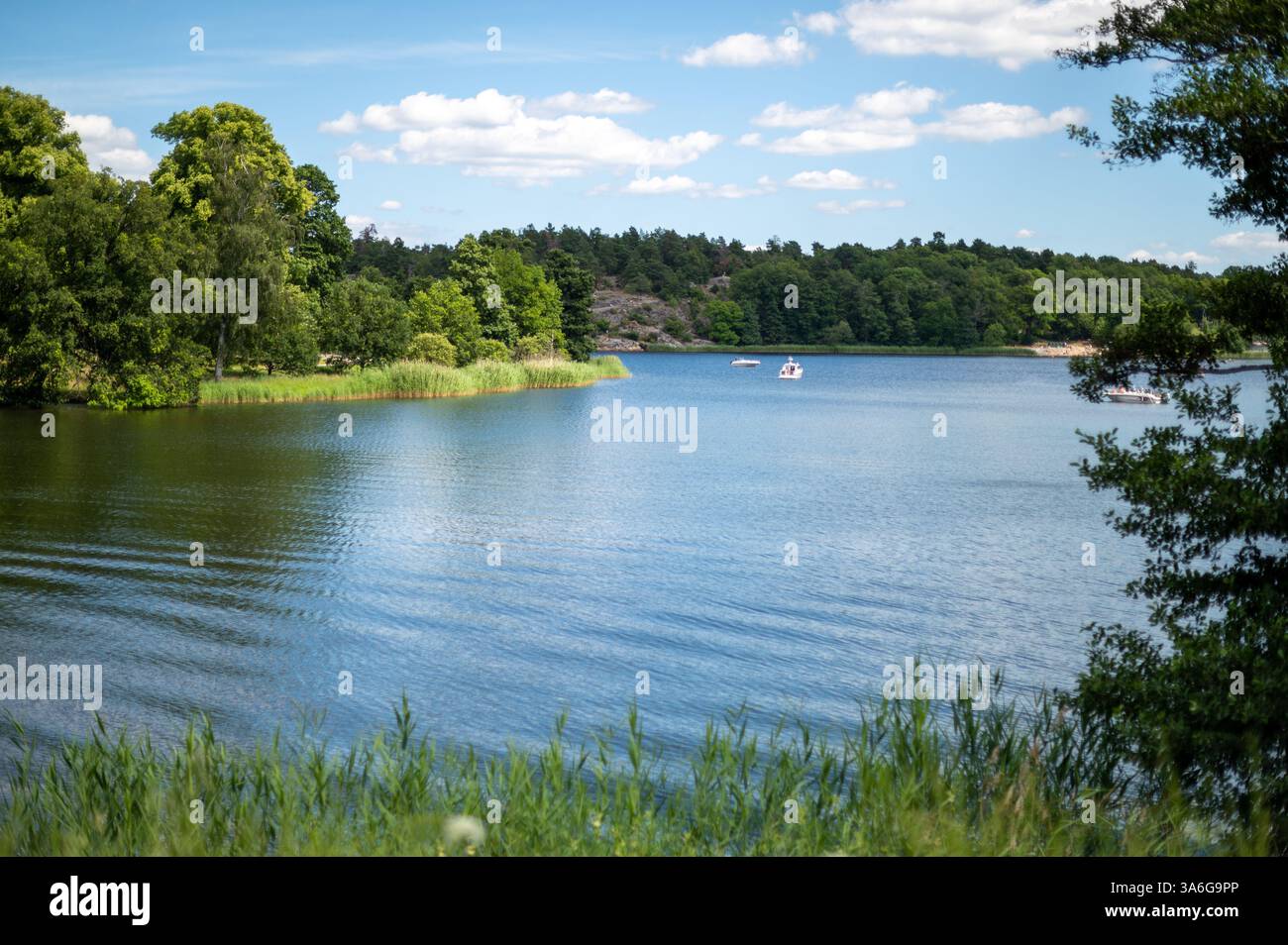 Brunnsviken lake in Hagaparken, Stockholm, Sweden Stock Photo - Alamy