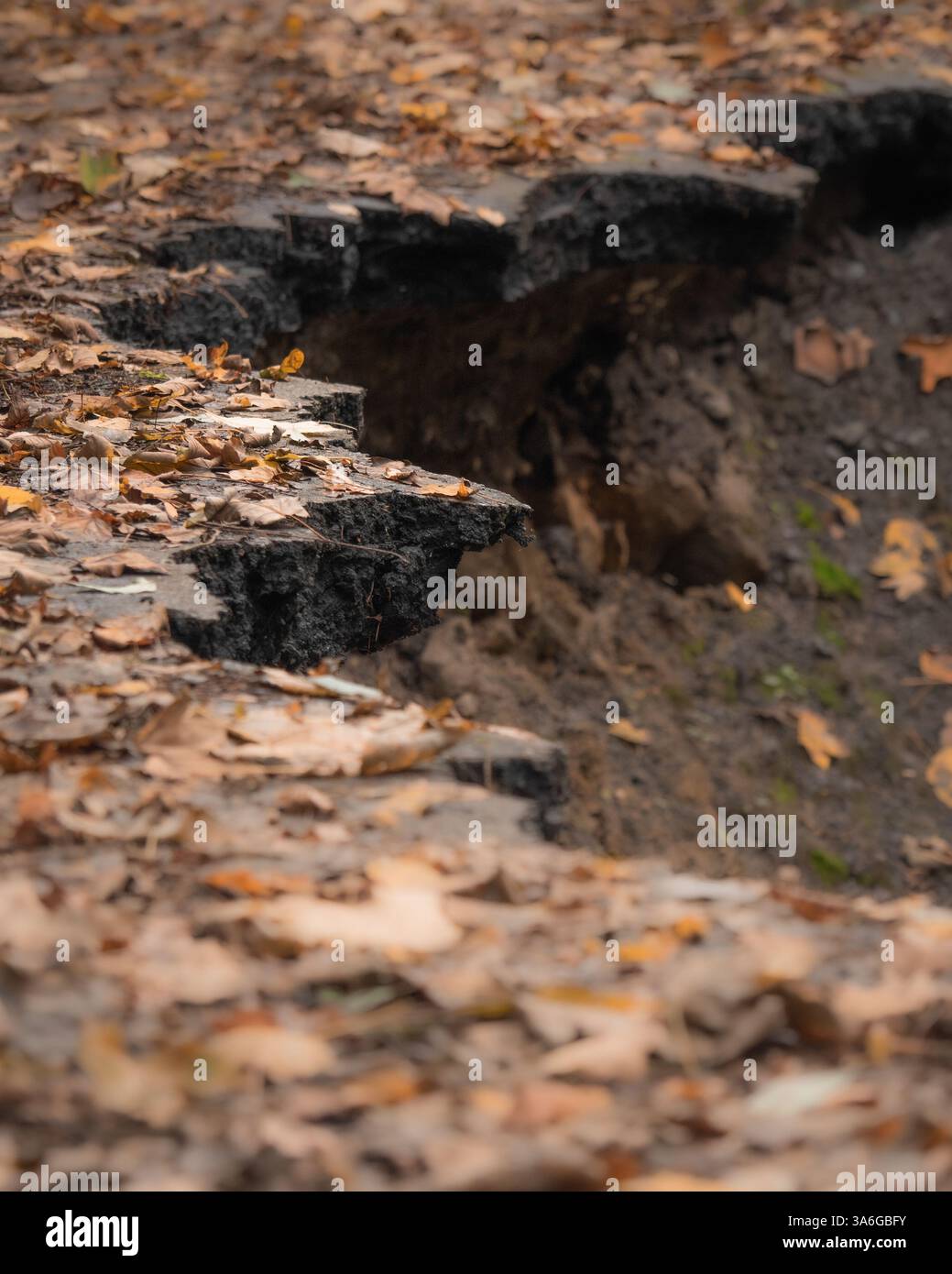 landslide cracks street asphalt in forest with autumns leaves on ...
