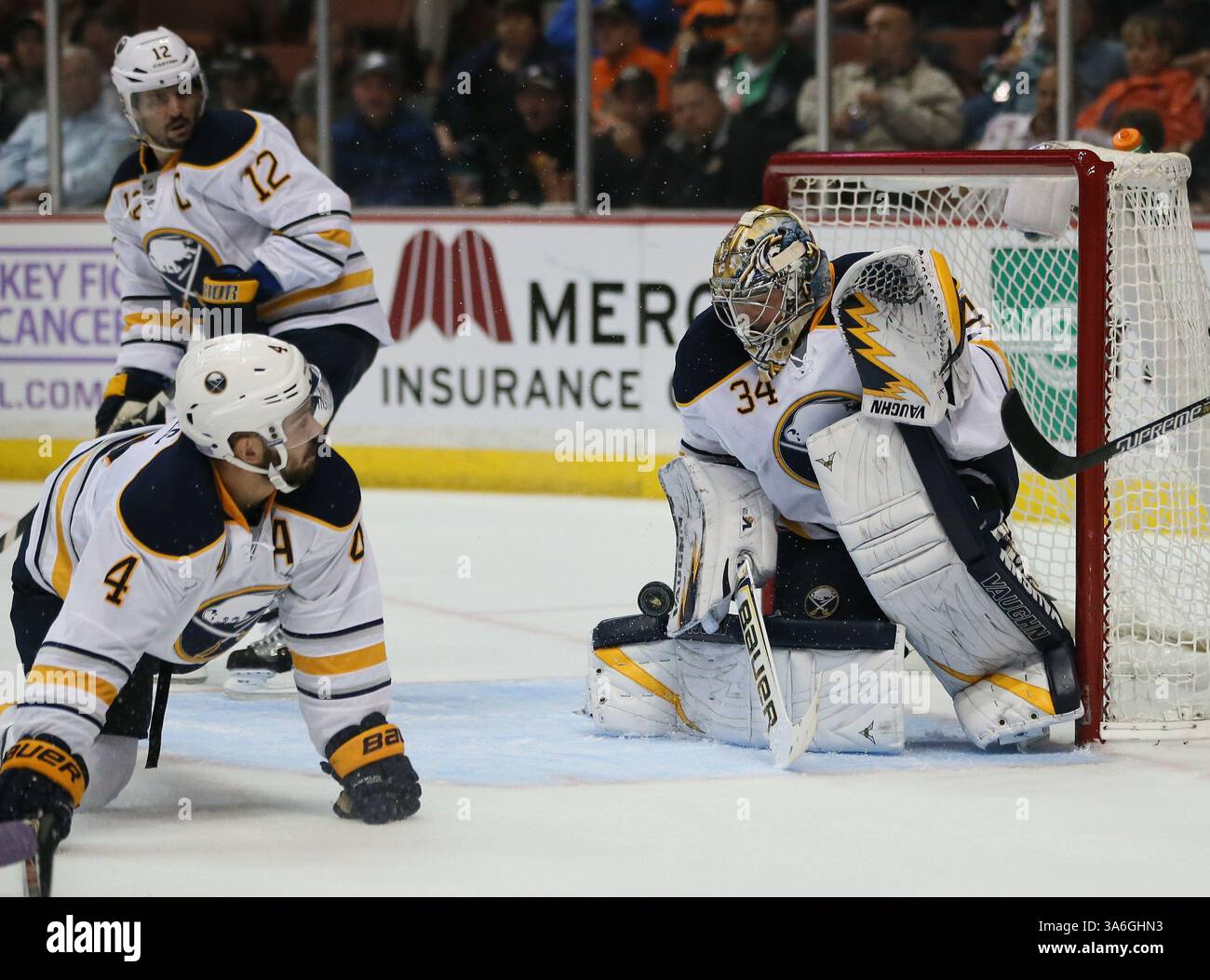 Neuvirth ducks hi-res stock photography and images - Alamy