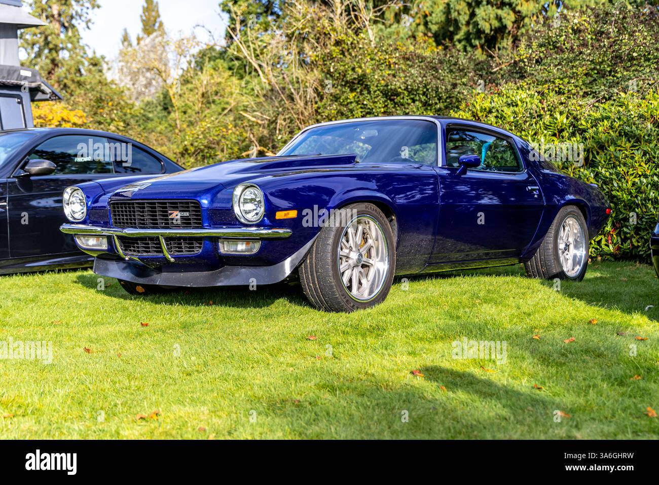 1980 chevrolet camaro z28 blue hi-res stock photography and images - Alamy
