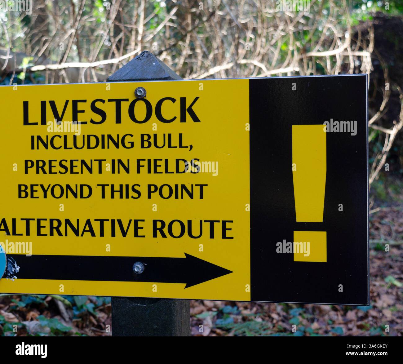 Livestock in field sign hi-res stock photography and images - Alamy