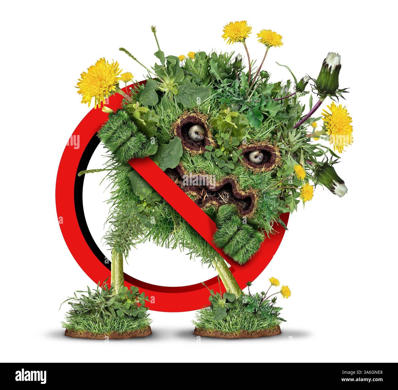 Pest services Cut Out Stock Images & Pictures - Alamy