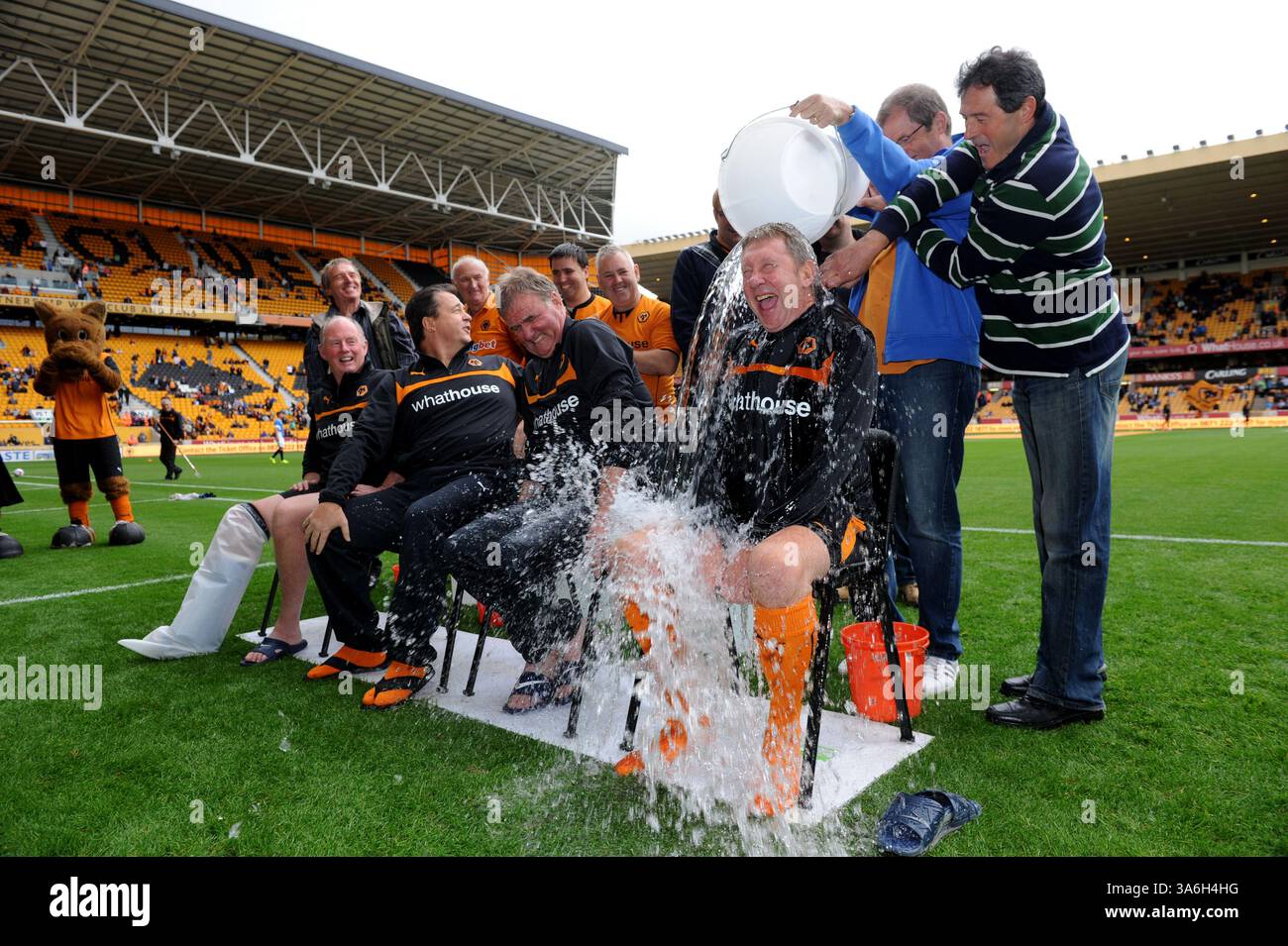 Directors of Wolverhampton Wanderers Ice Bucket Challenge at Molineux ...