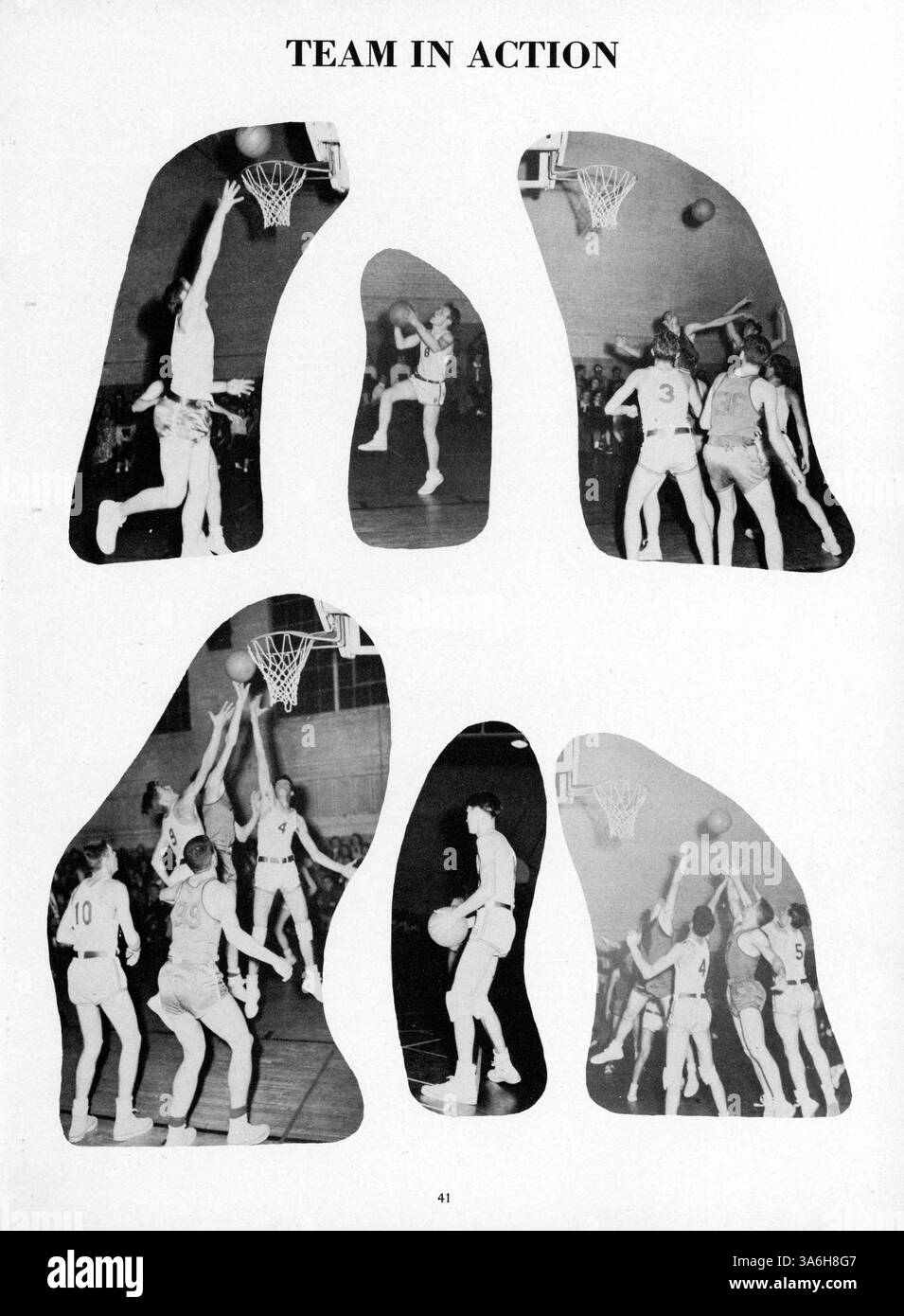 The 1953 Bloomington High Yearbook, titled The Bear, offers a snapshot ...