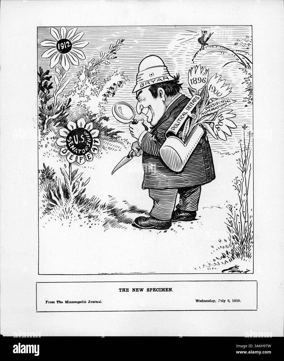 Studying a flower labeled hi-res stock photography and images - Alamy