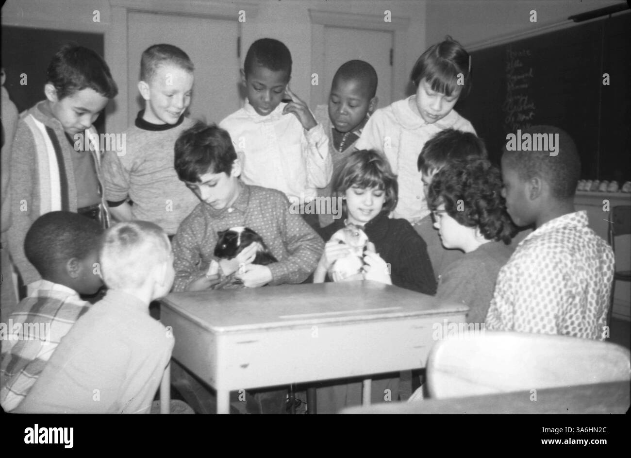 Biology lesson in classroom Black and White Stock Photos & Images - Alamy