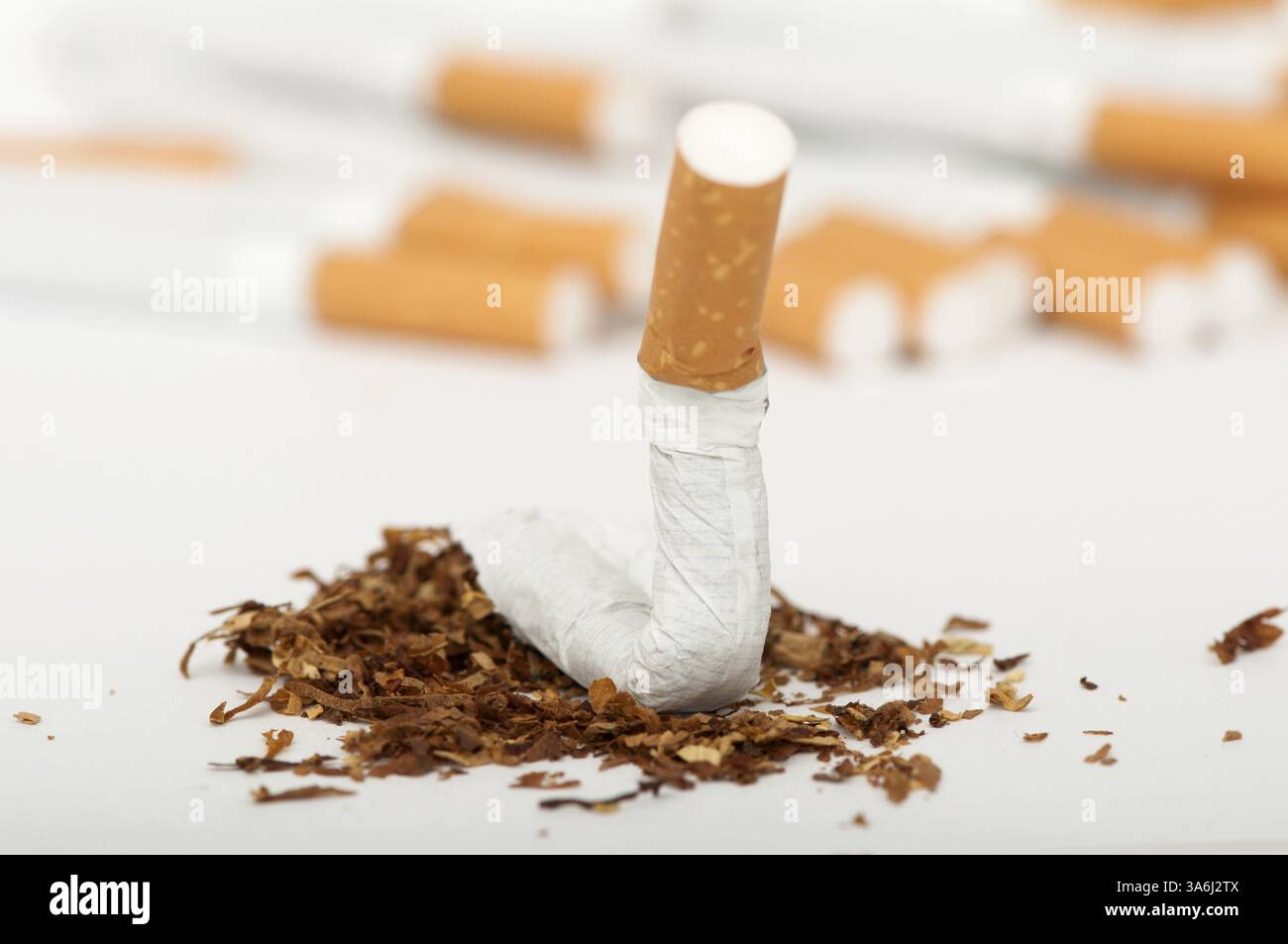 Crumpled cigarette. Shite isolated studio shot Stock Photo - Alamy