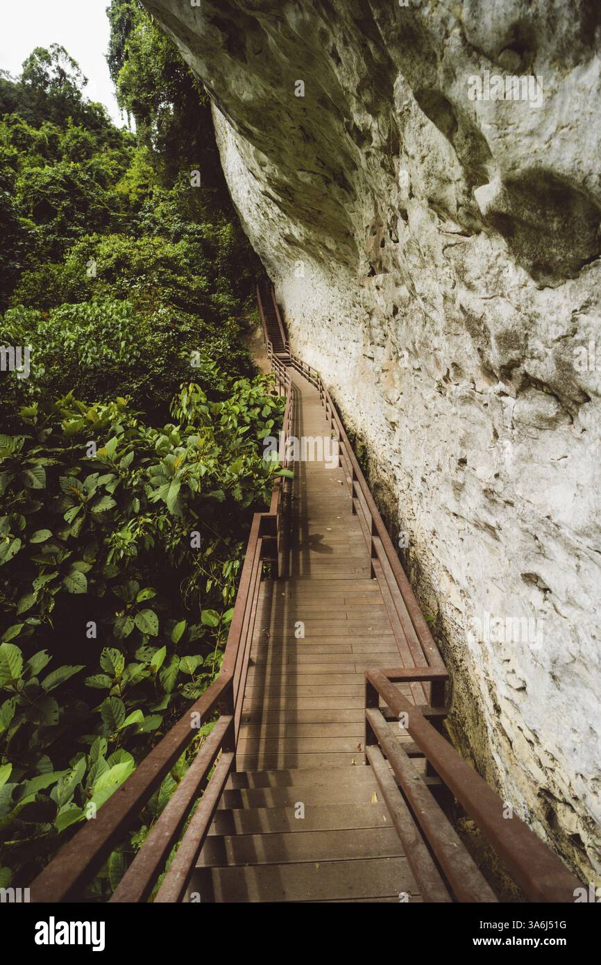 A wooden path along a steep rock face with a view over the dense jungle ...