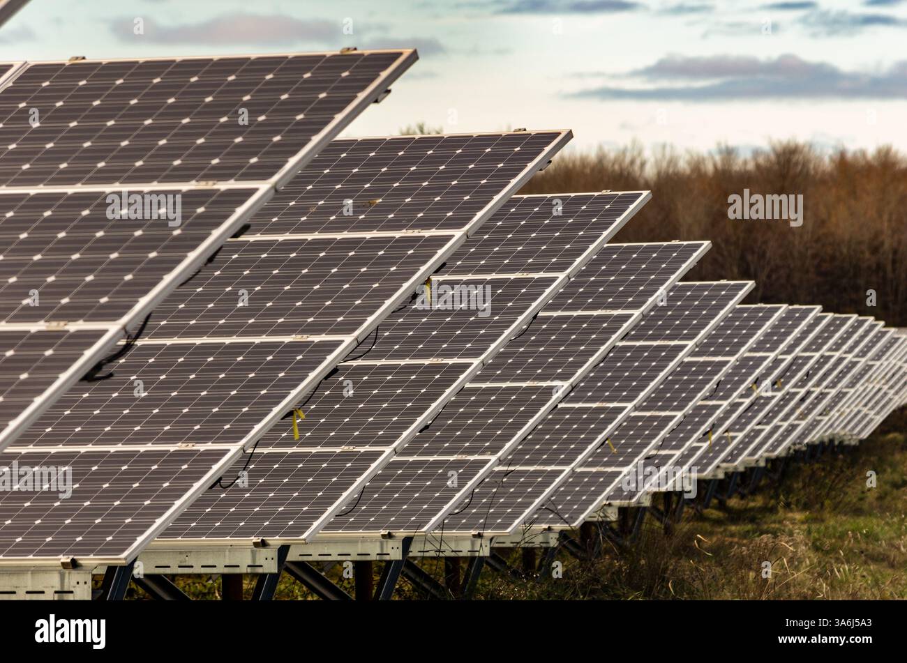 Solar panel array in an open field with angled panels receding into the ...