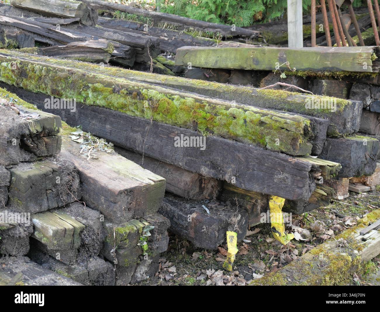 Moss-covered railroad sleepers stored as path borders in a nursery in ...