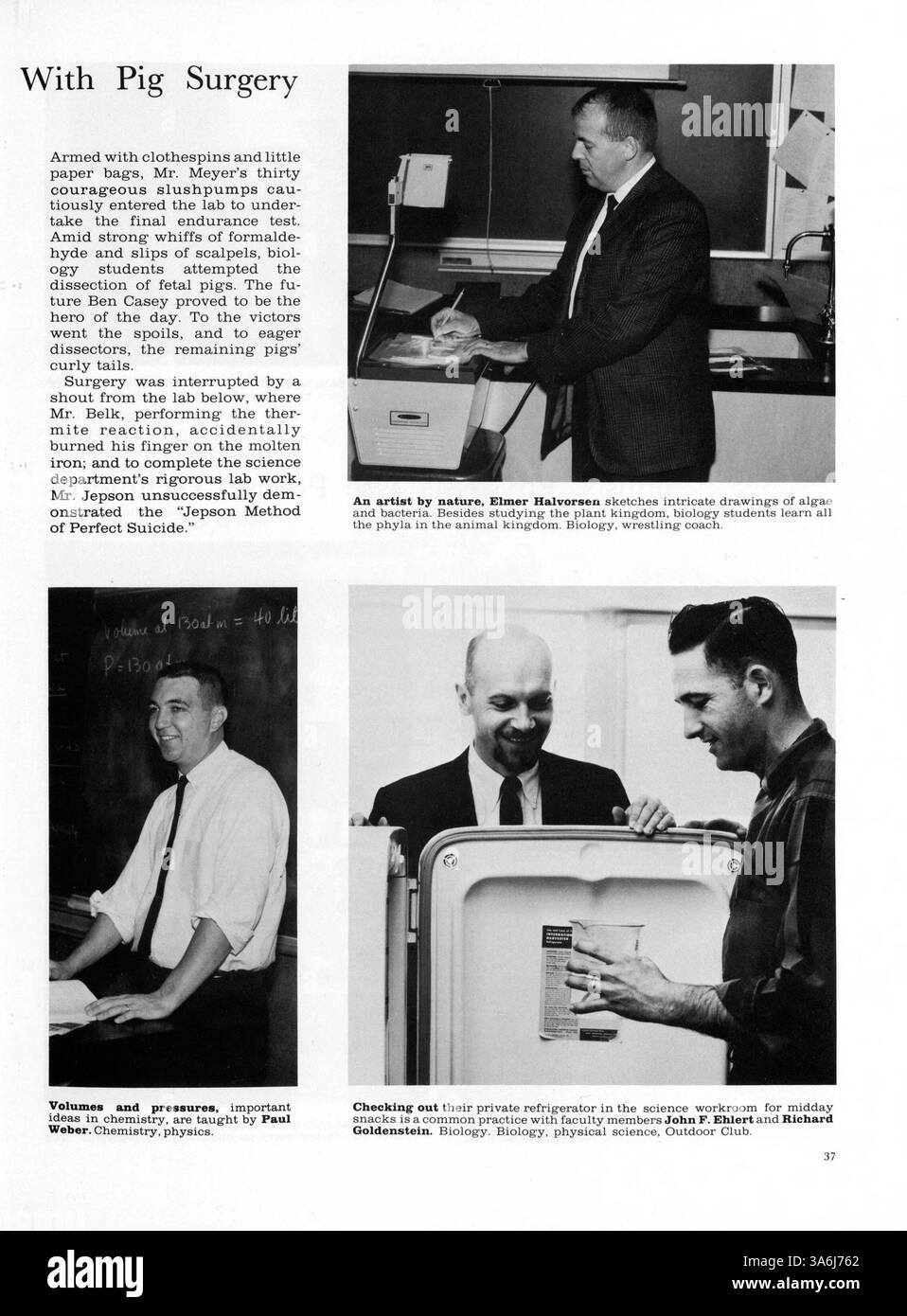 The 1965 Whigrean yearbook of Edina-Morningside High School provides a comprehensive record of ...