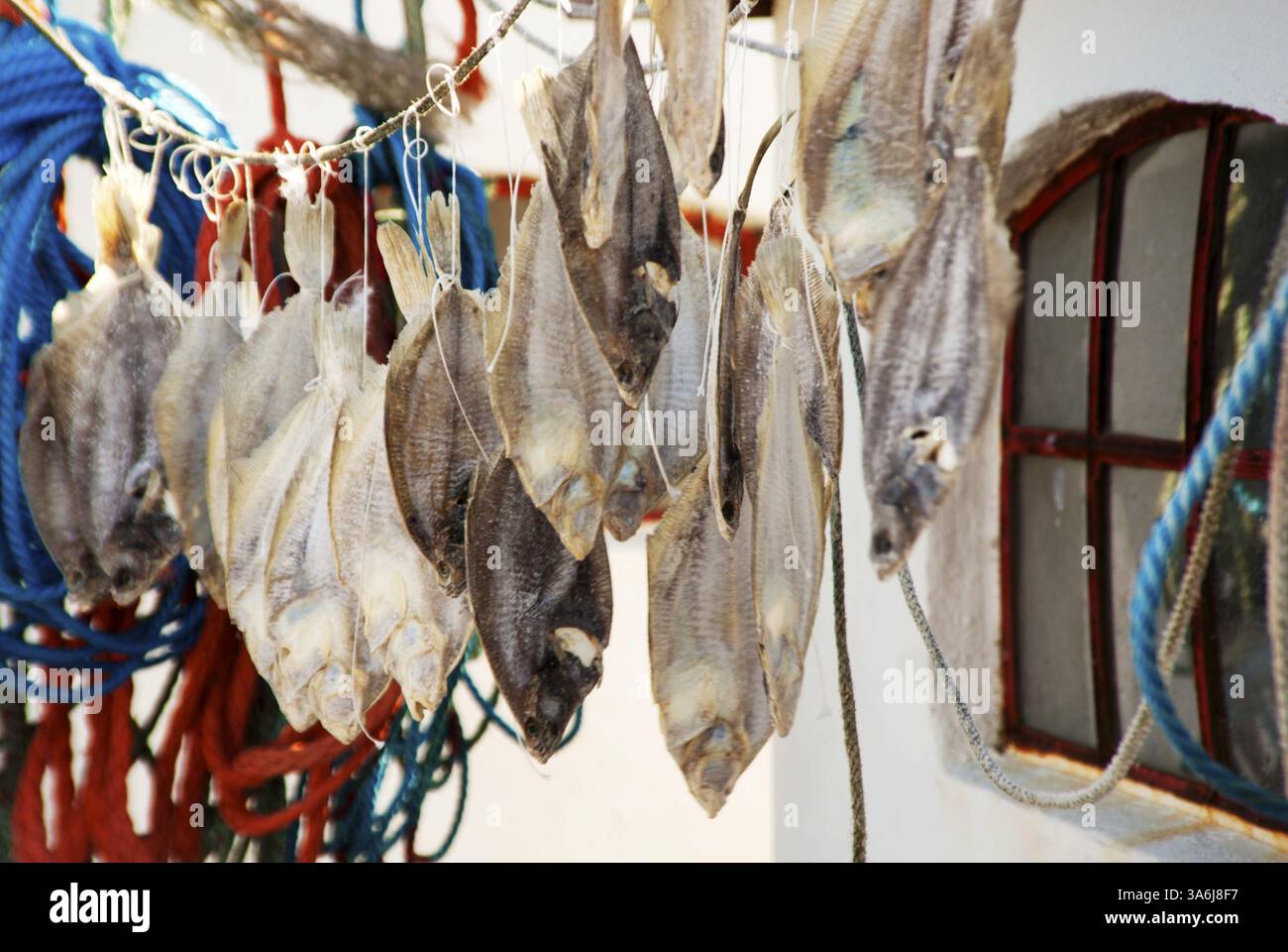European fish quotas hi-res stock photography and images - Alamy