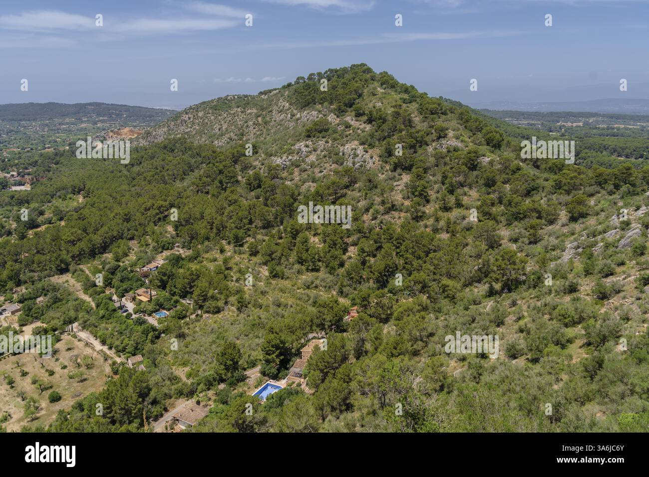 Ananas spanish hi-res stock photography and images - Alamy