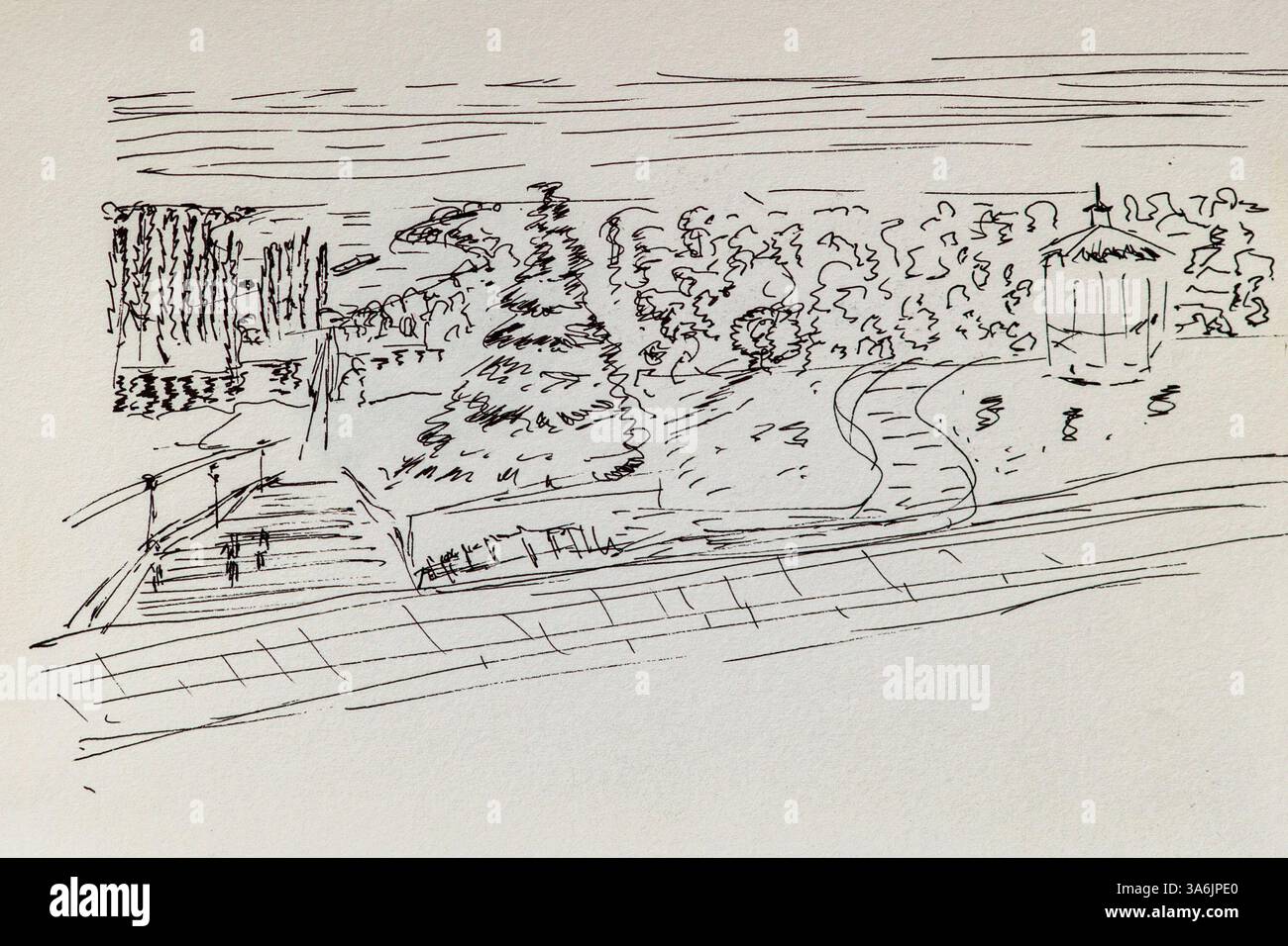 Hand-drawn ink sketch of city park with path, pine tree, stairs and ...