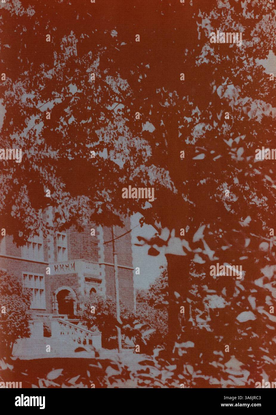 The 1949 Centralian Yearbook from Central High School provides a record of the 1948-1949 school ...