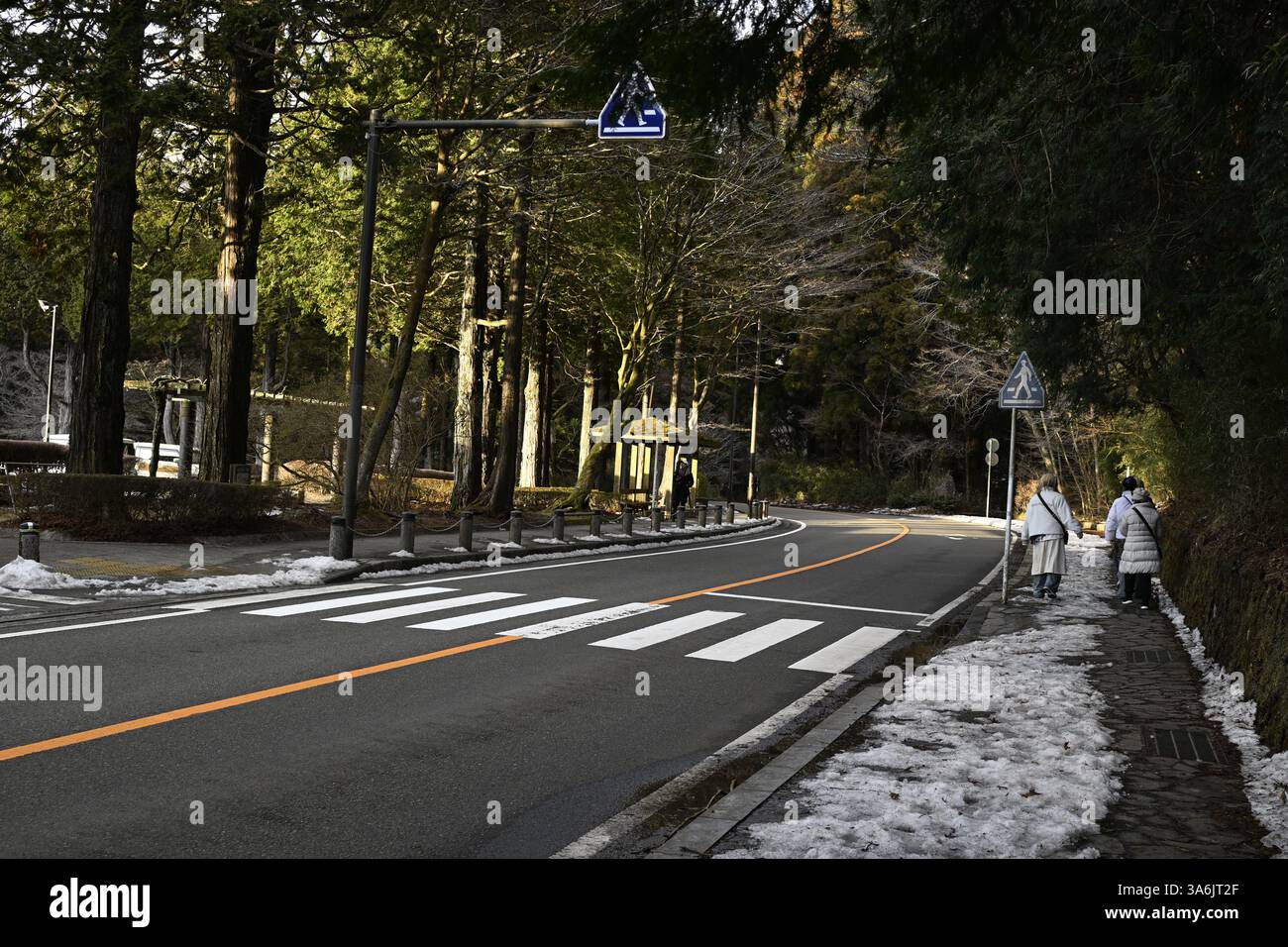 Quiet tree-lined road with snow and pedestrians in Hakone, Japan ...