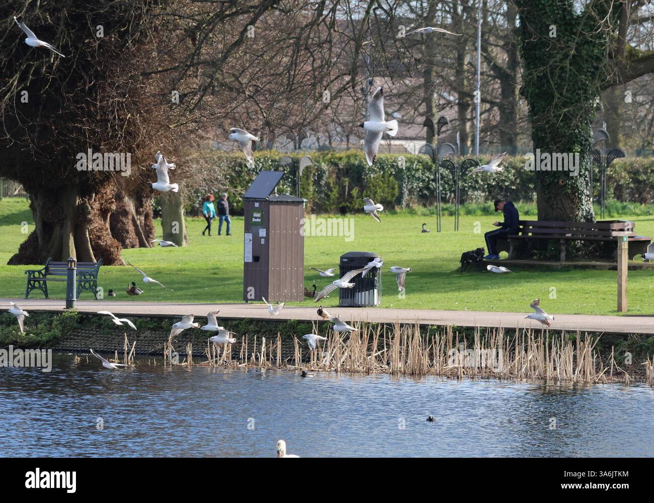 Lurgan Park, Lurgan, County Armagh, Northern Ireland, UK. 25 Mar 2025 ...