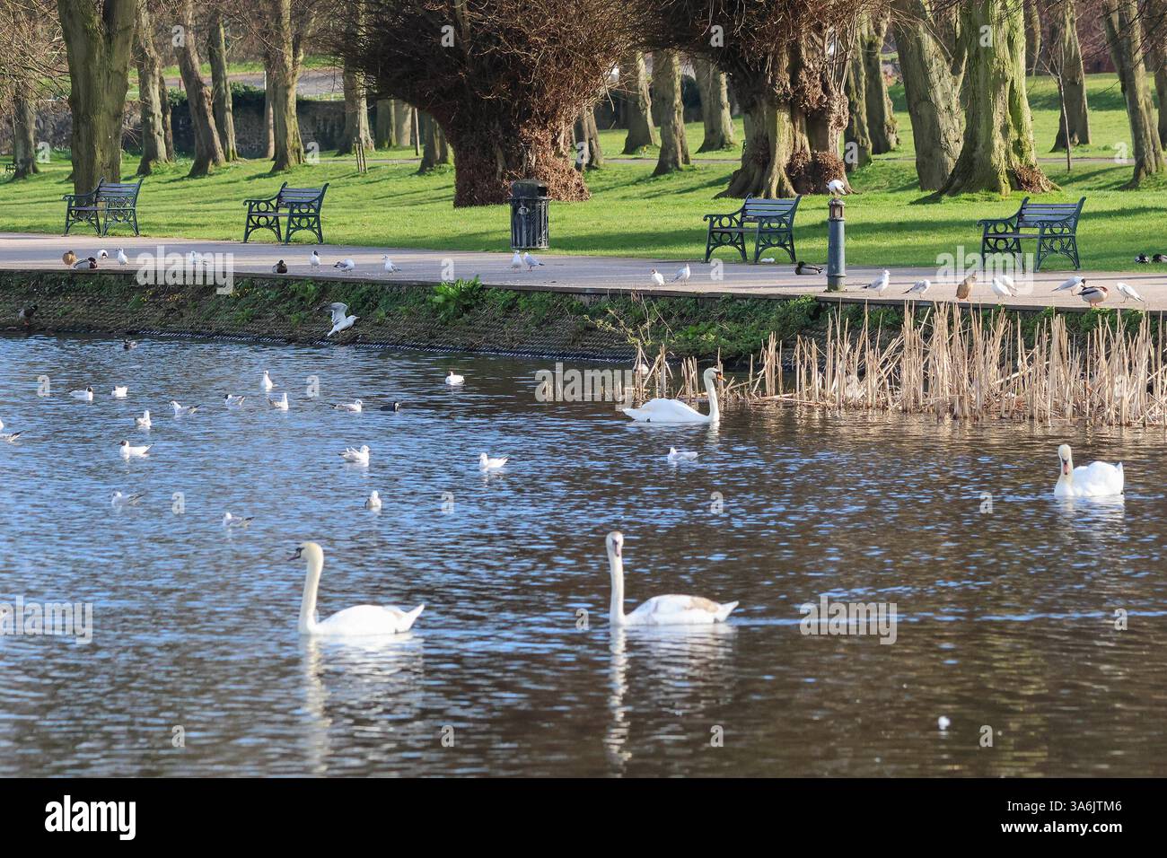 Lurgan Park, Lurgan, County Armagh, Northern Ireland, UK. 25 Mar 2025 ...