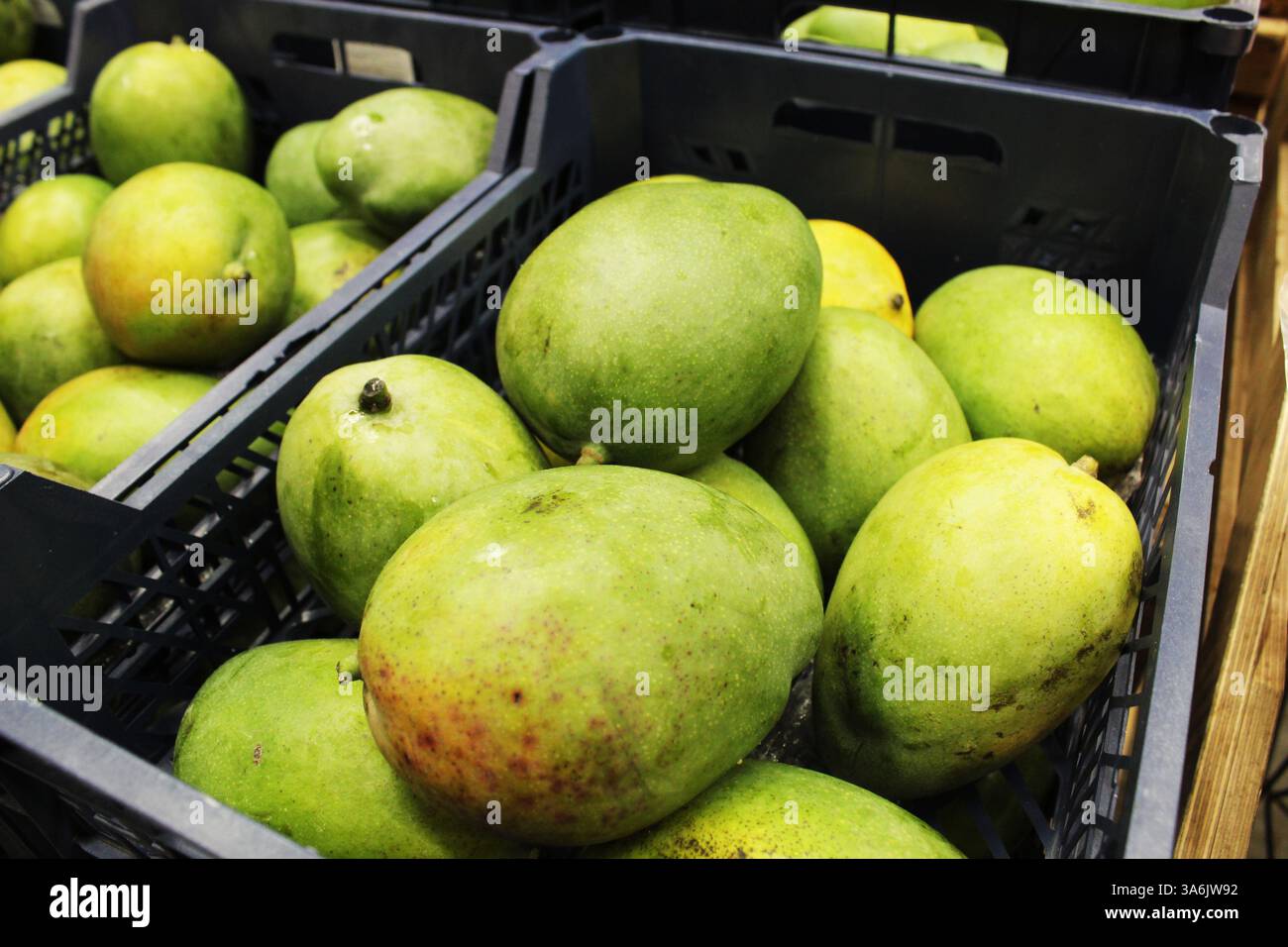 green mango fruits in a plastic box. Seasonal vegetables Stock Photo ...