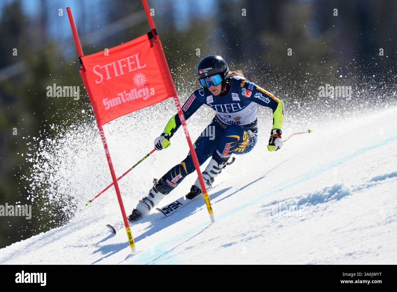Sweden's Sara Hector skis during a women's giant slalom run at the ...