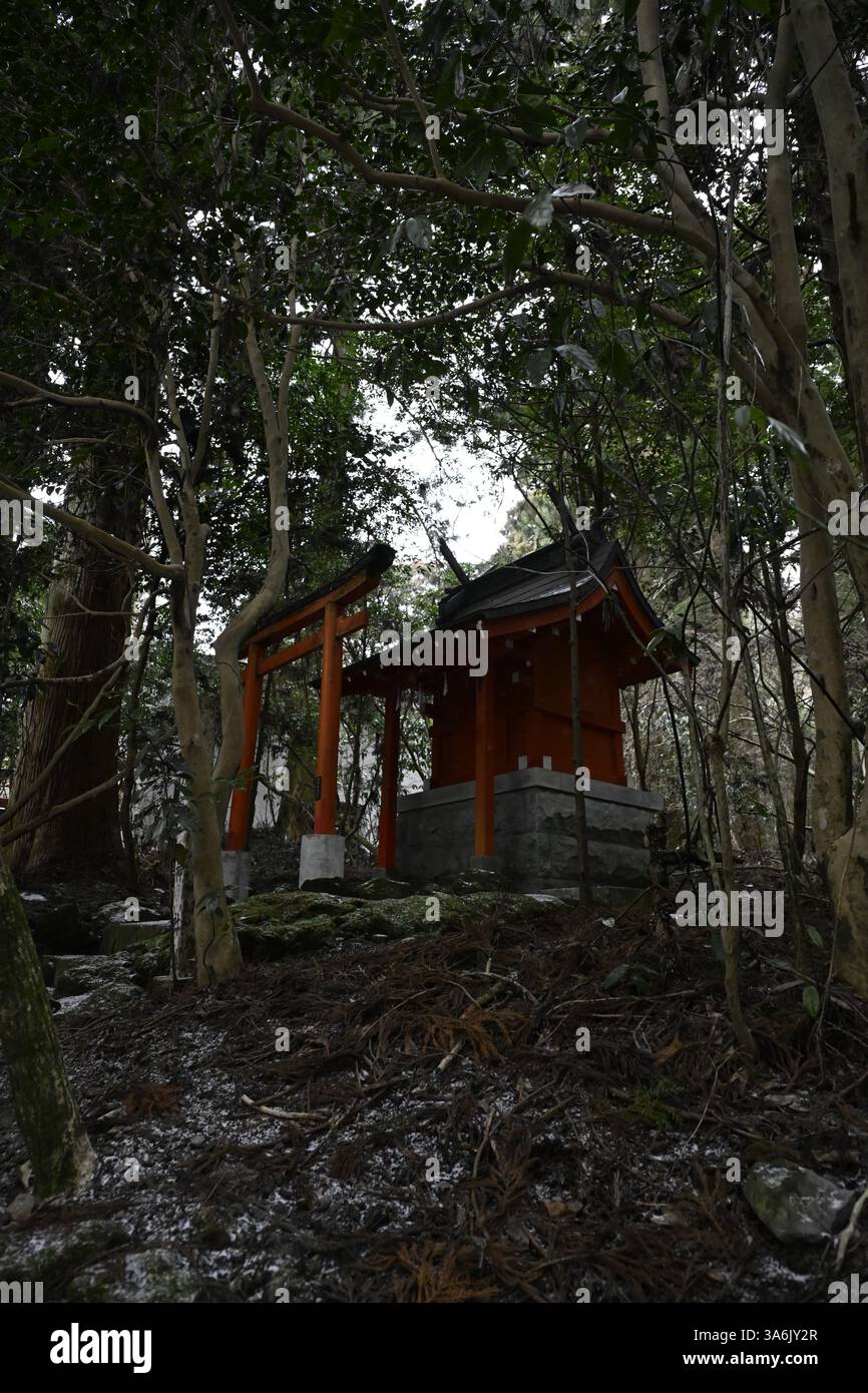 Hakone Temple Shrine in Japan Stock Photo - Alamy