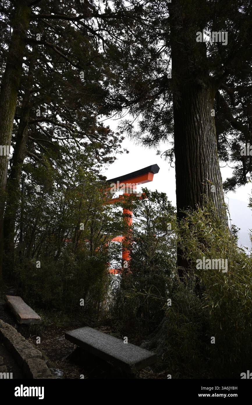 Hakone Temple Shrine in Japan Stock Photo - Alamy
