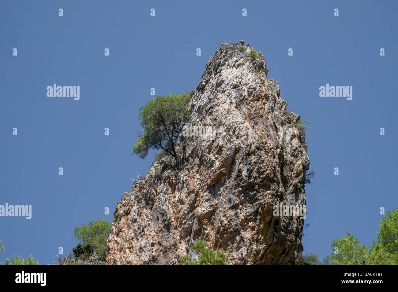 A huge rock formation emerges from the Mediterranean pines in southern ...