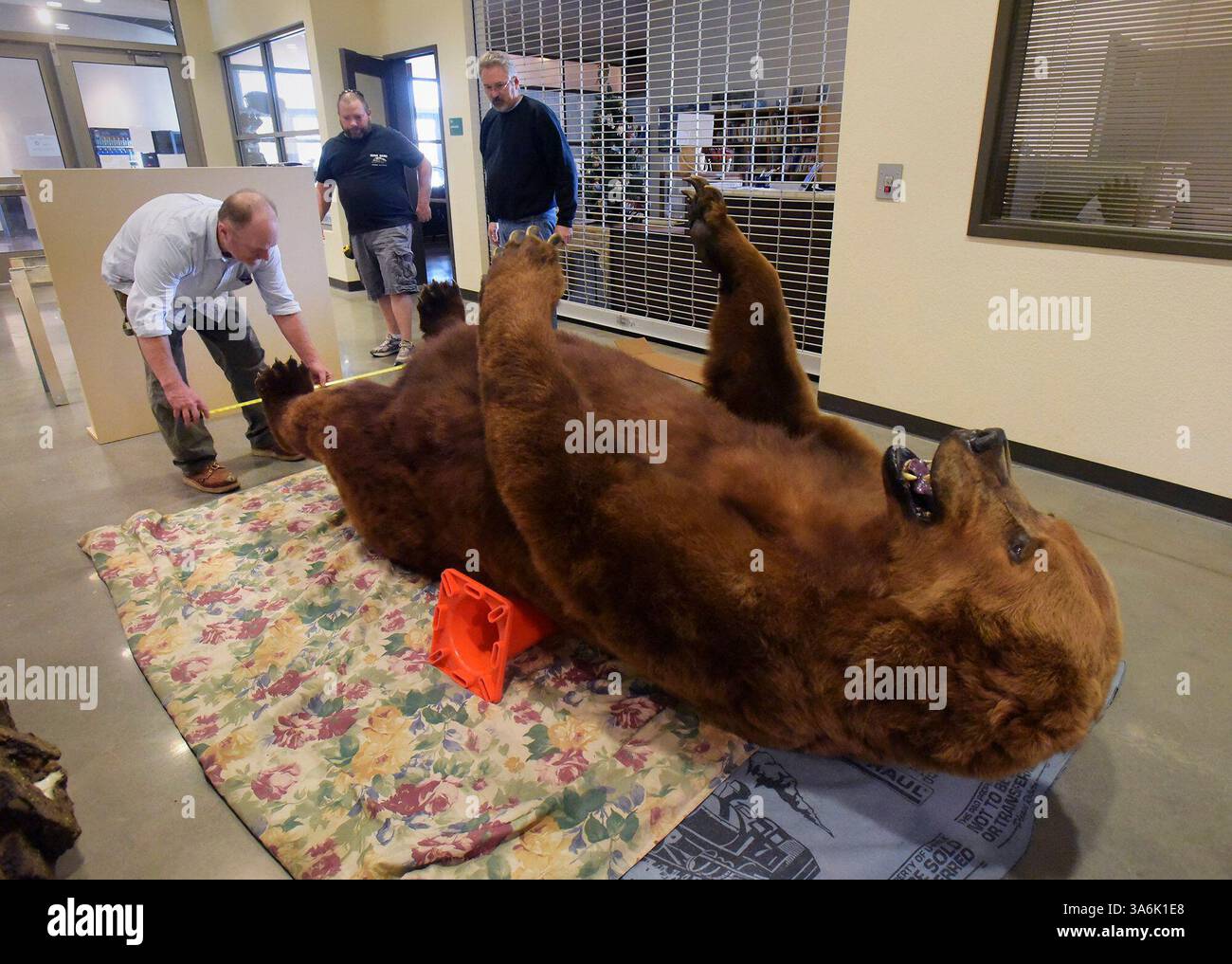 Jan. 7, 2015 - Modesto, California, U.S. - Scott Houck, takes ...