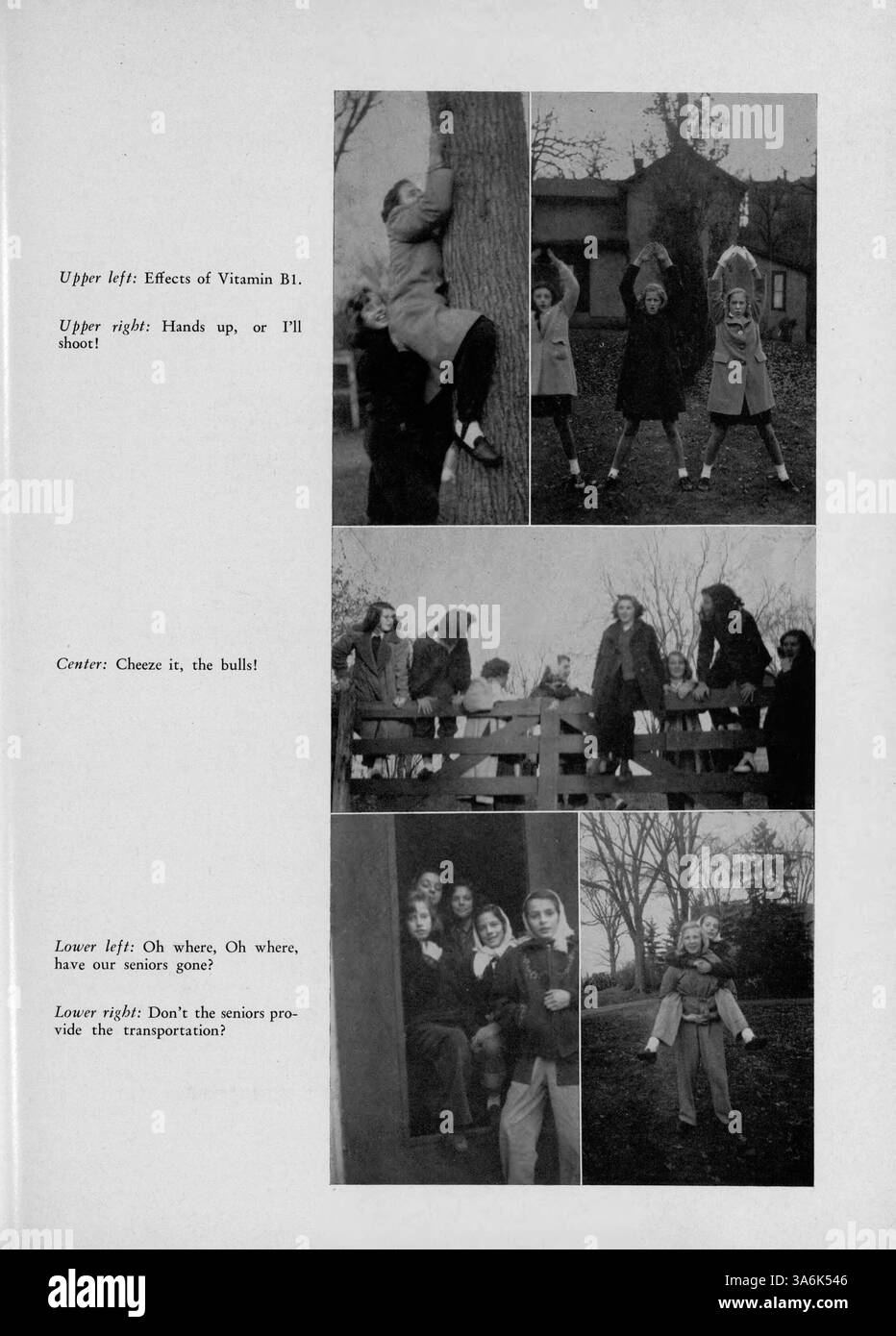 Tatler 1946 documents the key events, student activities, athletic ...