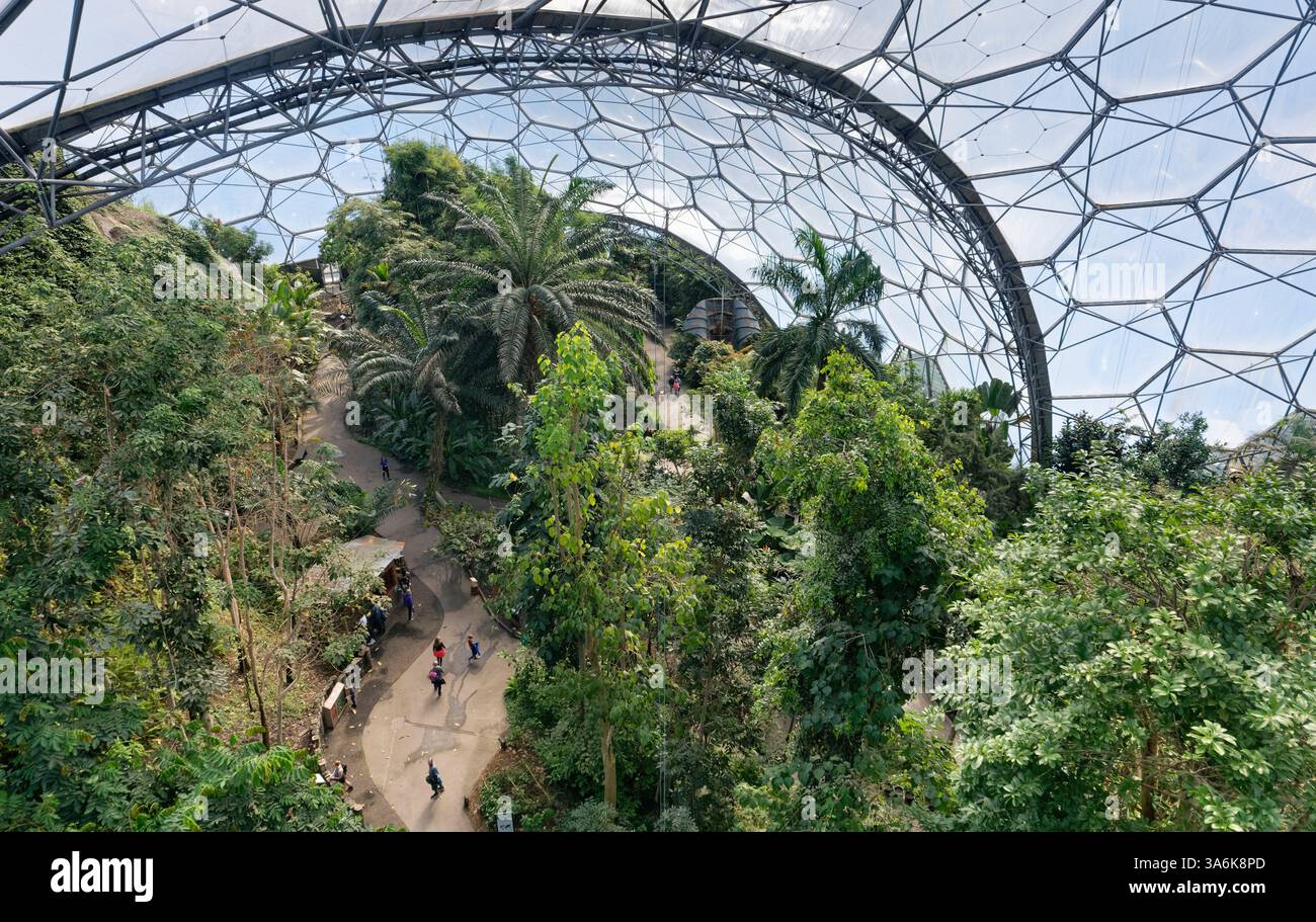 View down from the Rainforest Lookout platform in the Rainforest Biome ...
