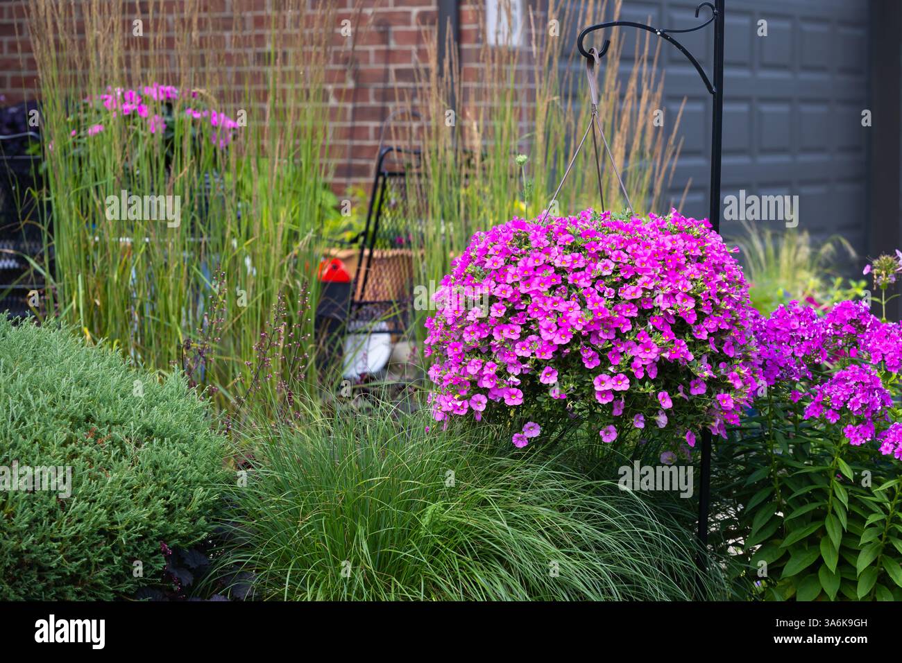 Nothing shouts spring more than a hanging basket of million bells ...