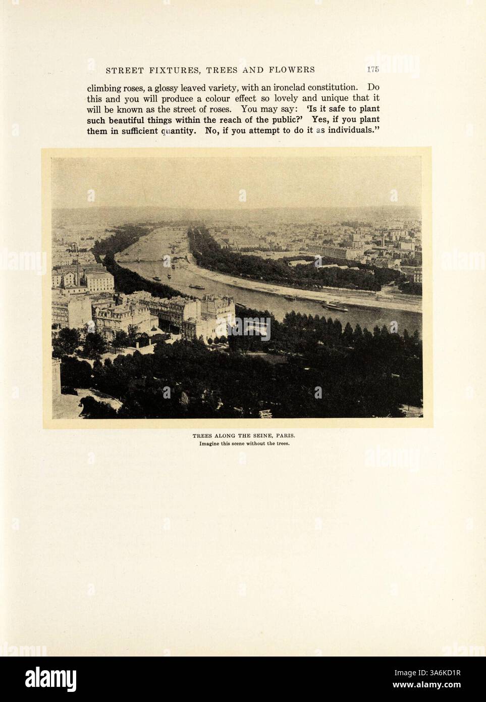 This 1917 plan, developed by the Civic Commission, contains 227 pages ...