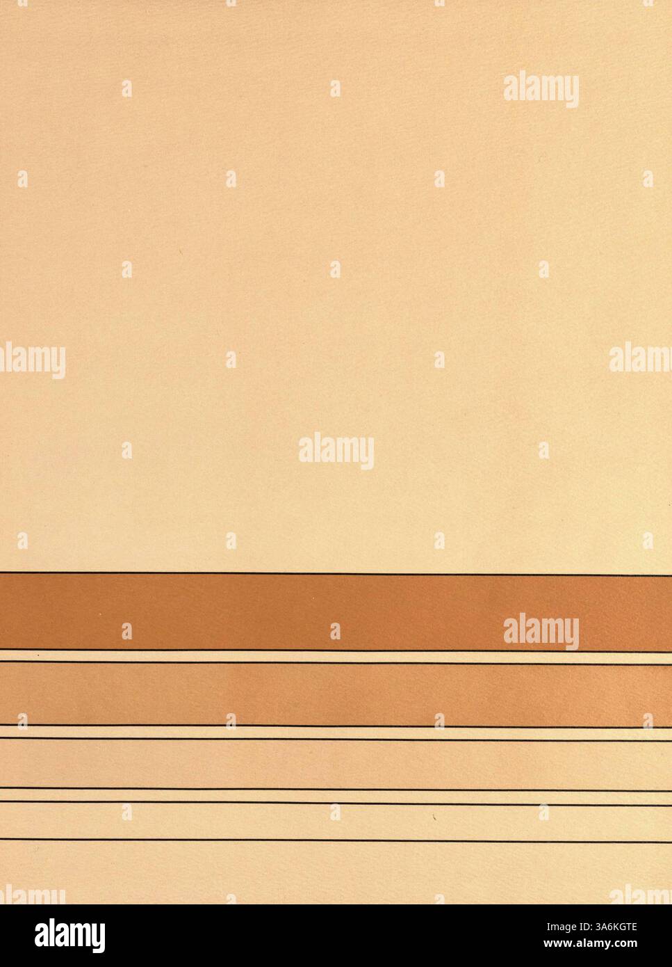 The 1981 Wizard Yearbook from Edison High School documents the student ...