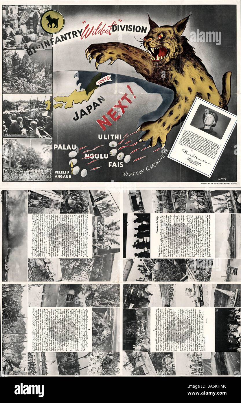 A World War II-era publication illustrating the 81st Infantry Division ...