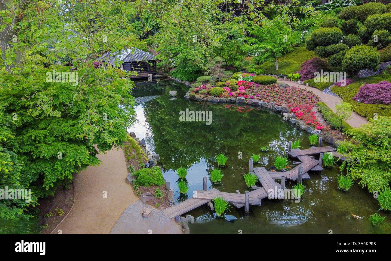 Amazing view in Japanese garden in May in Kaiserslautern. Wooden bridge ...