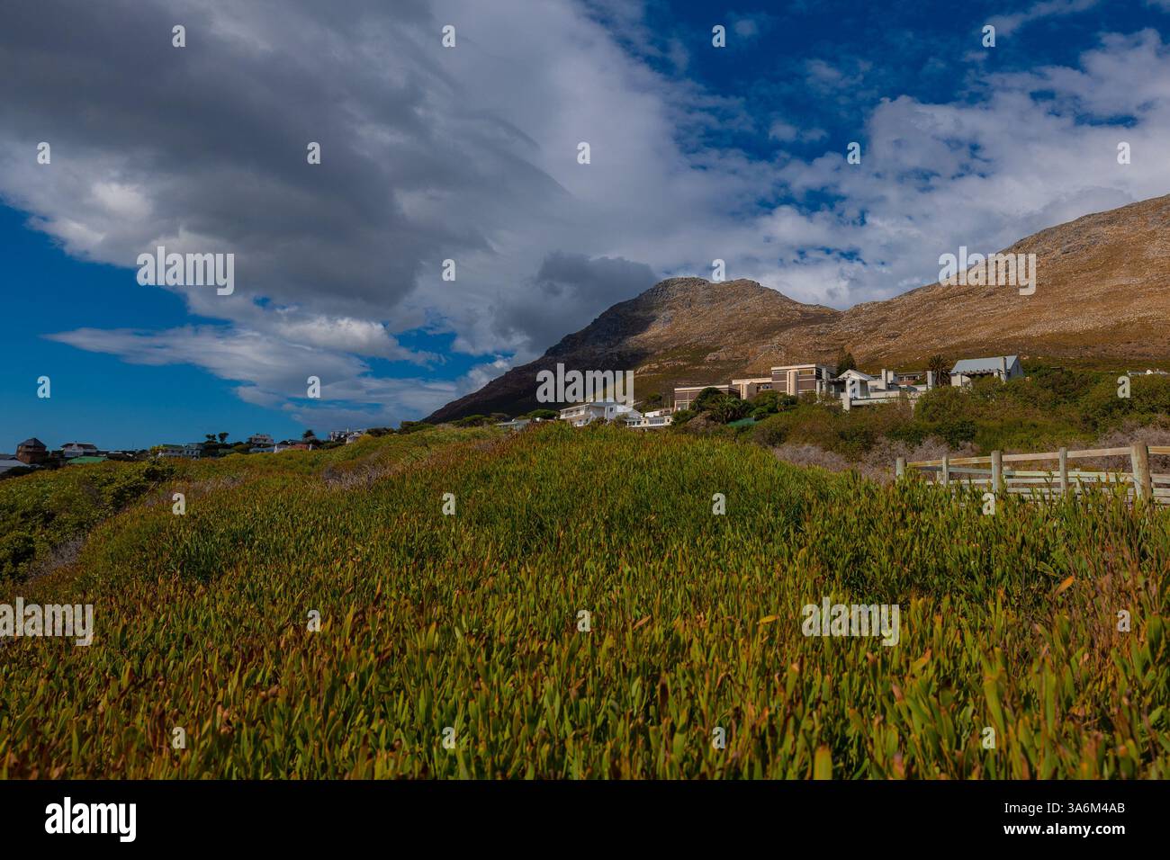 Overview of bay with penguins close to Simon's bay in south africa ...