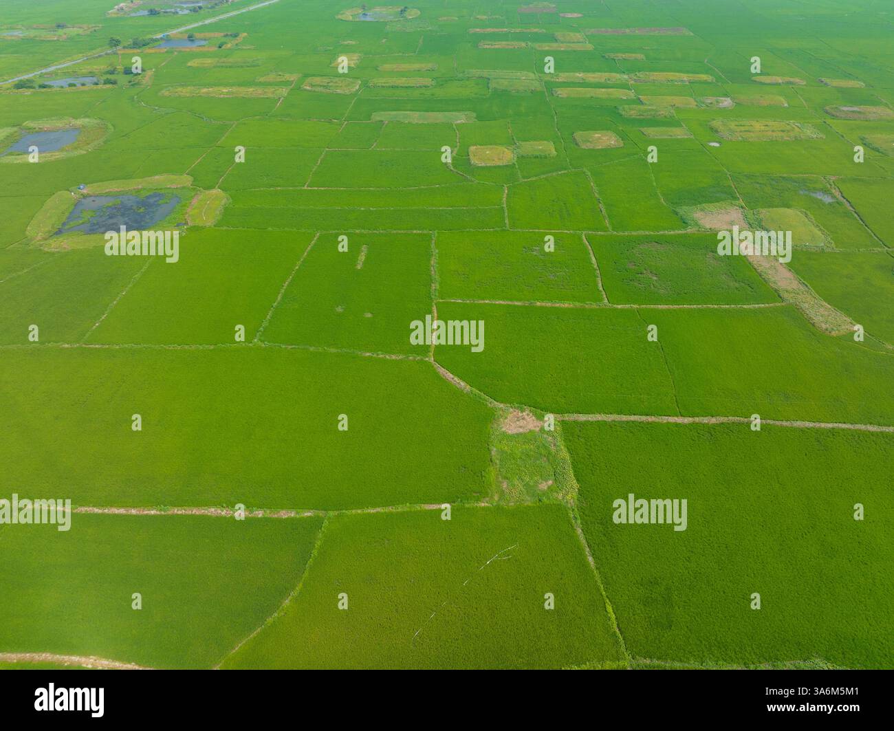 An aerial view of Arial Beel in Srinagar, Munshiganj, Bangladesh ...