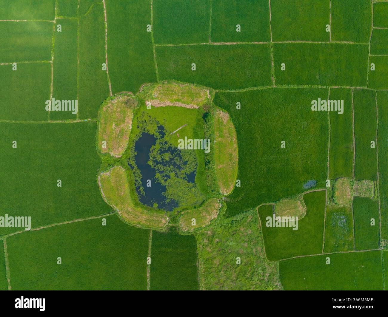 An aerial view of Arial Beel in Srinagar, Munshiganj, Bangladesh ...