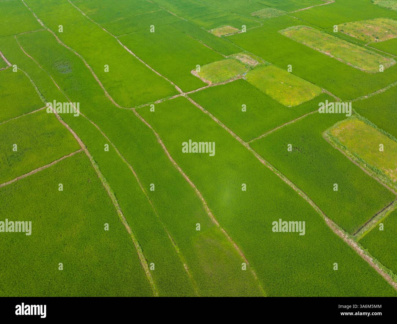 An aerial view of Arial Beel in Srinagar, Munshiganj, Bangladesh ...