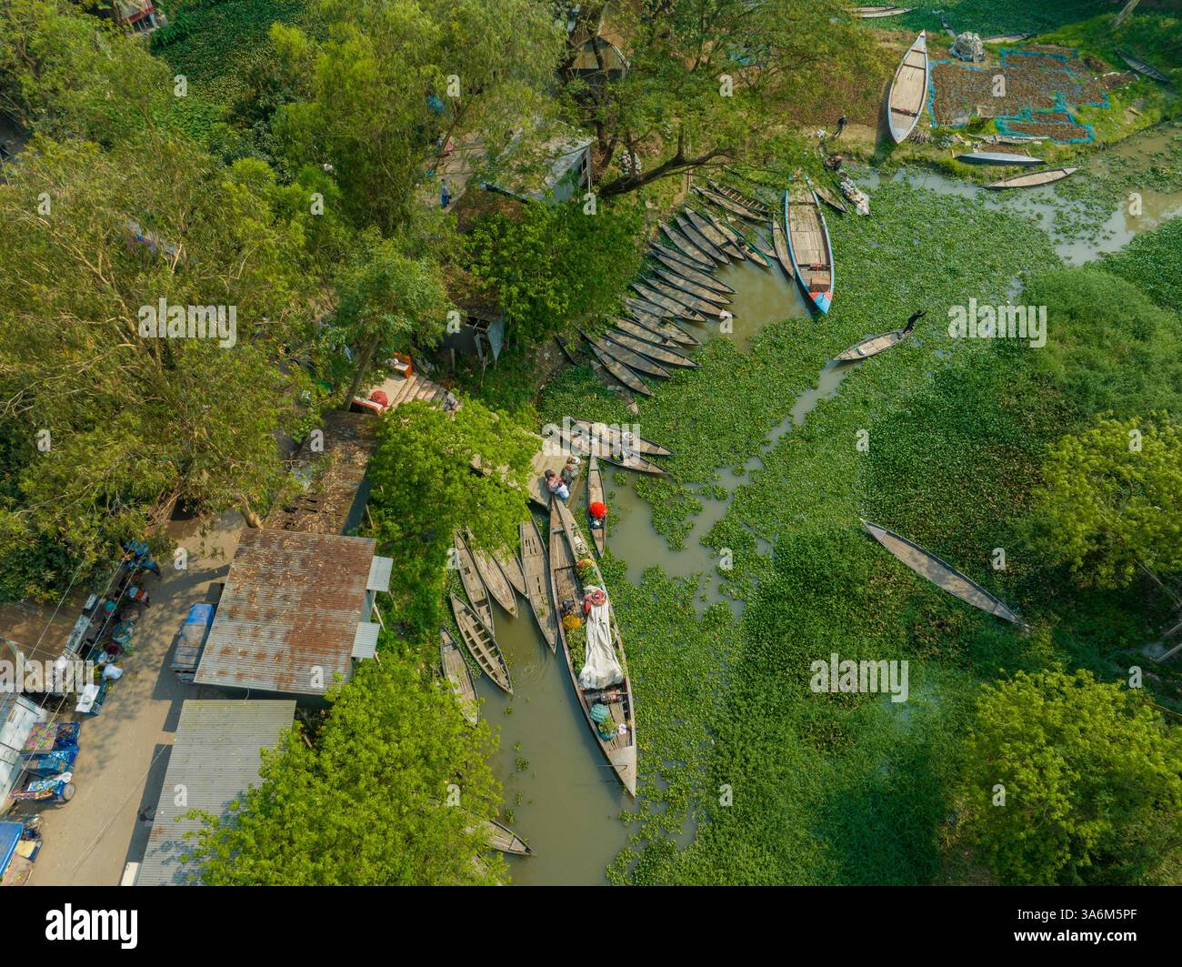 Boats anchored along a canal in Arial Beel, Srinagar, Munshiganj ...