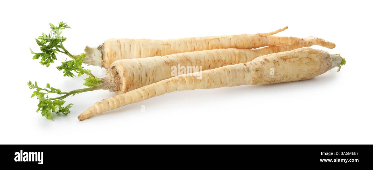 Three fresh parsley roots isolated on white Stock Photo - Alamy