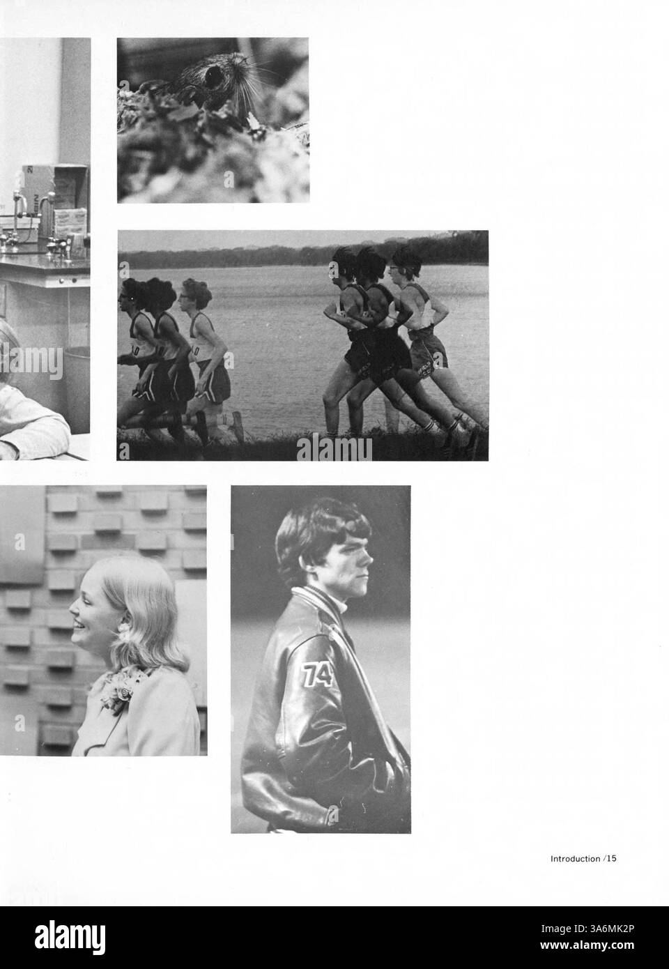 The 'Aurean' yearbook of 1974 from Richfield High School captures the ...